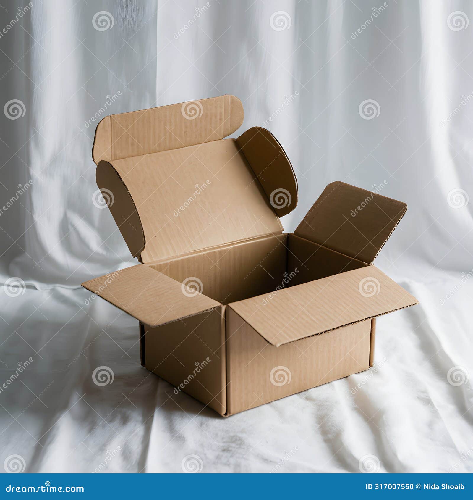 A Simple Open Cardboard Box With Light Brown Interior And Functional ...