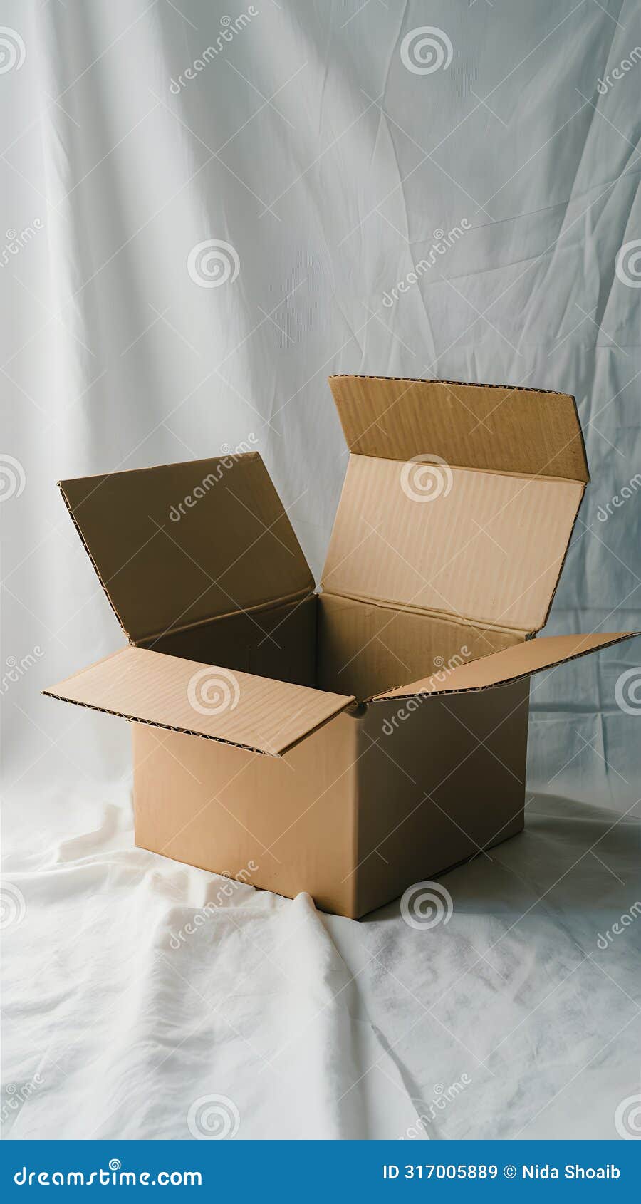 A Simple Open Cardboard Box With Light Brown Interior And Functional ...