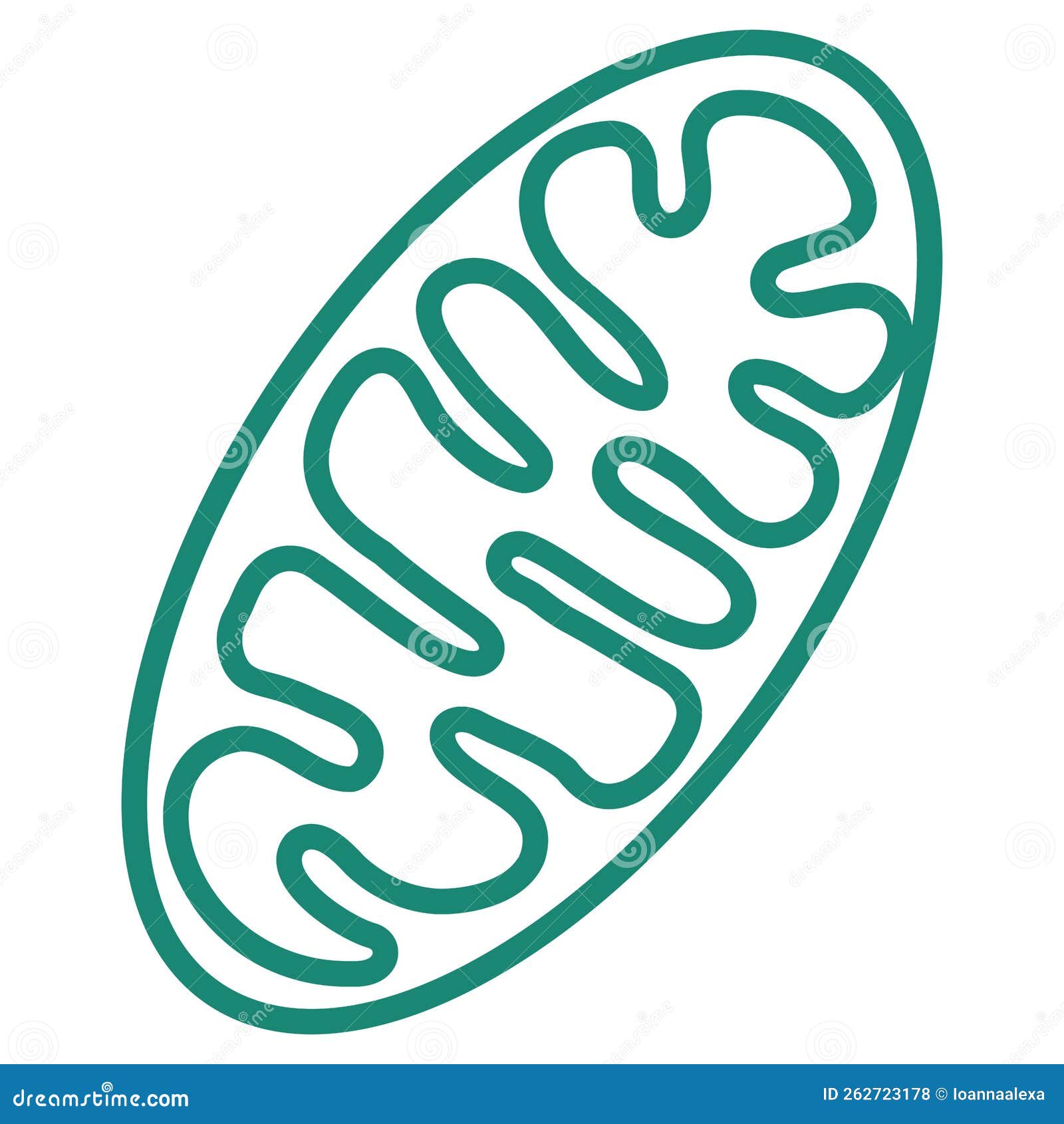 Simple Outline Modern Turquoise Schematic Mitochondria Icon Stock ... Simple Outline Modern Turquoise Schematic Mitochondria Icon Stock ...