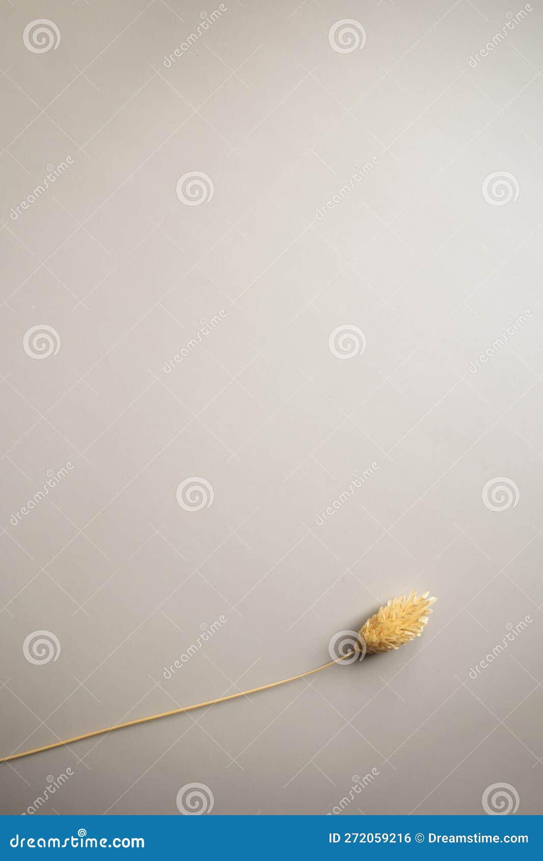 Simple Plain Paper Gray Beige Background. Stock Photo - Image of pastel ...