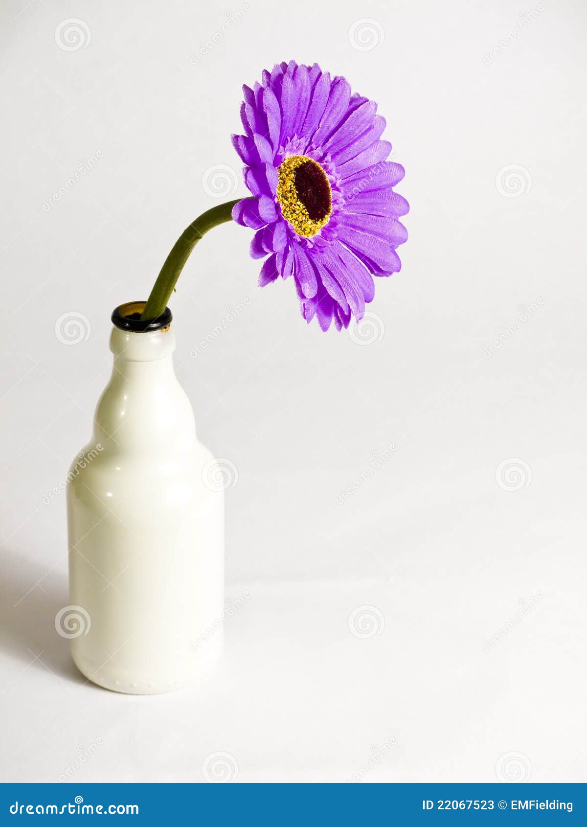 Simple Purple Flower stock image. Image of bottle, flower - 22067523