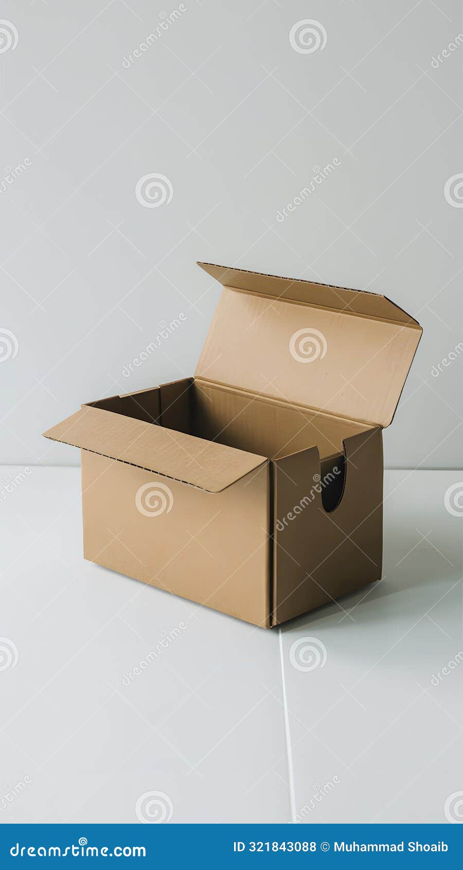 Simple Rectangular Cardboard Box with Flap Lid, Muted Brown Color ...