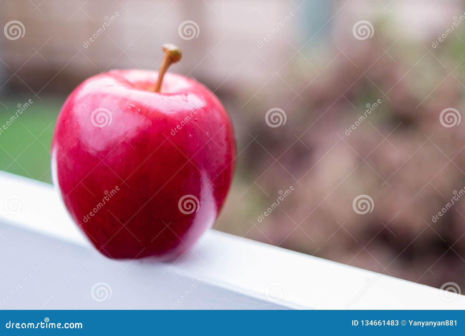 A Simple Red Apple with Soft Background. Stock Image - Image of ...