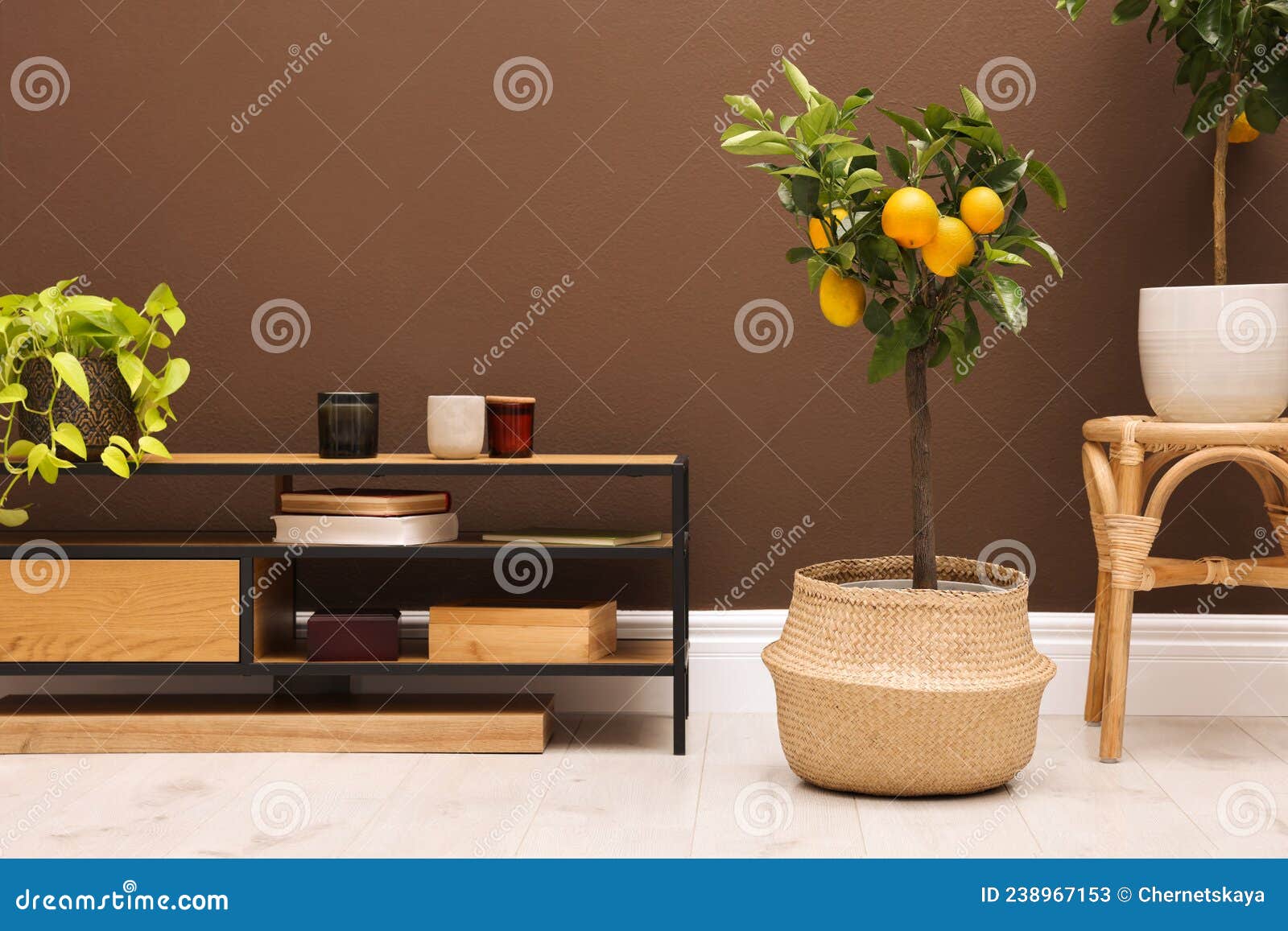 Simple Room Interior with Small Potted Lemon Tree and Console Table ...