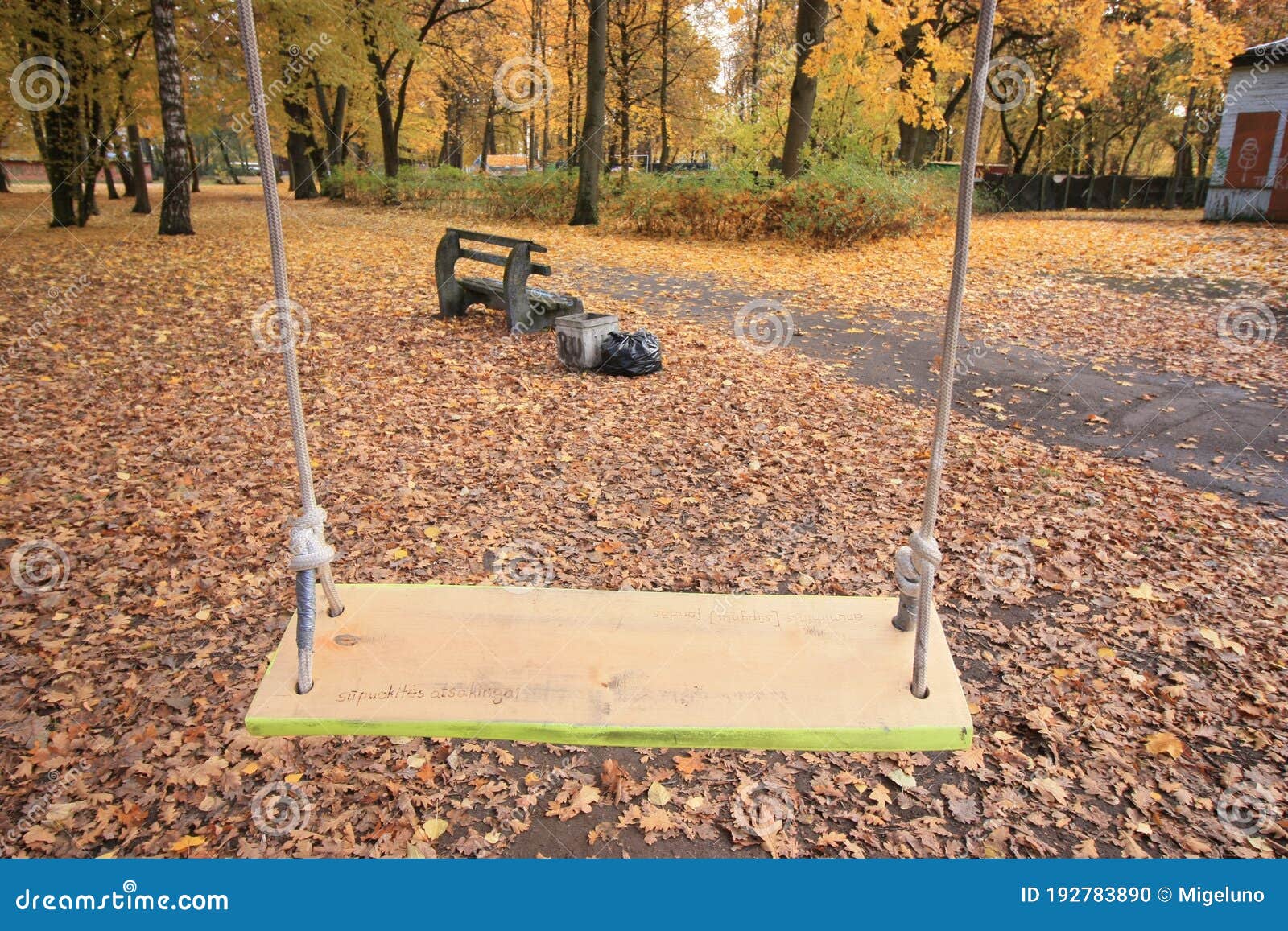 Swings on the Rope in the Park in Fall Stock Photo - Image of ...