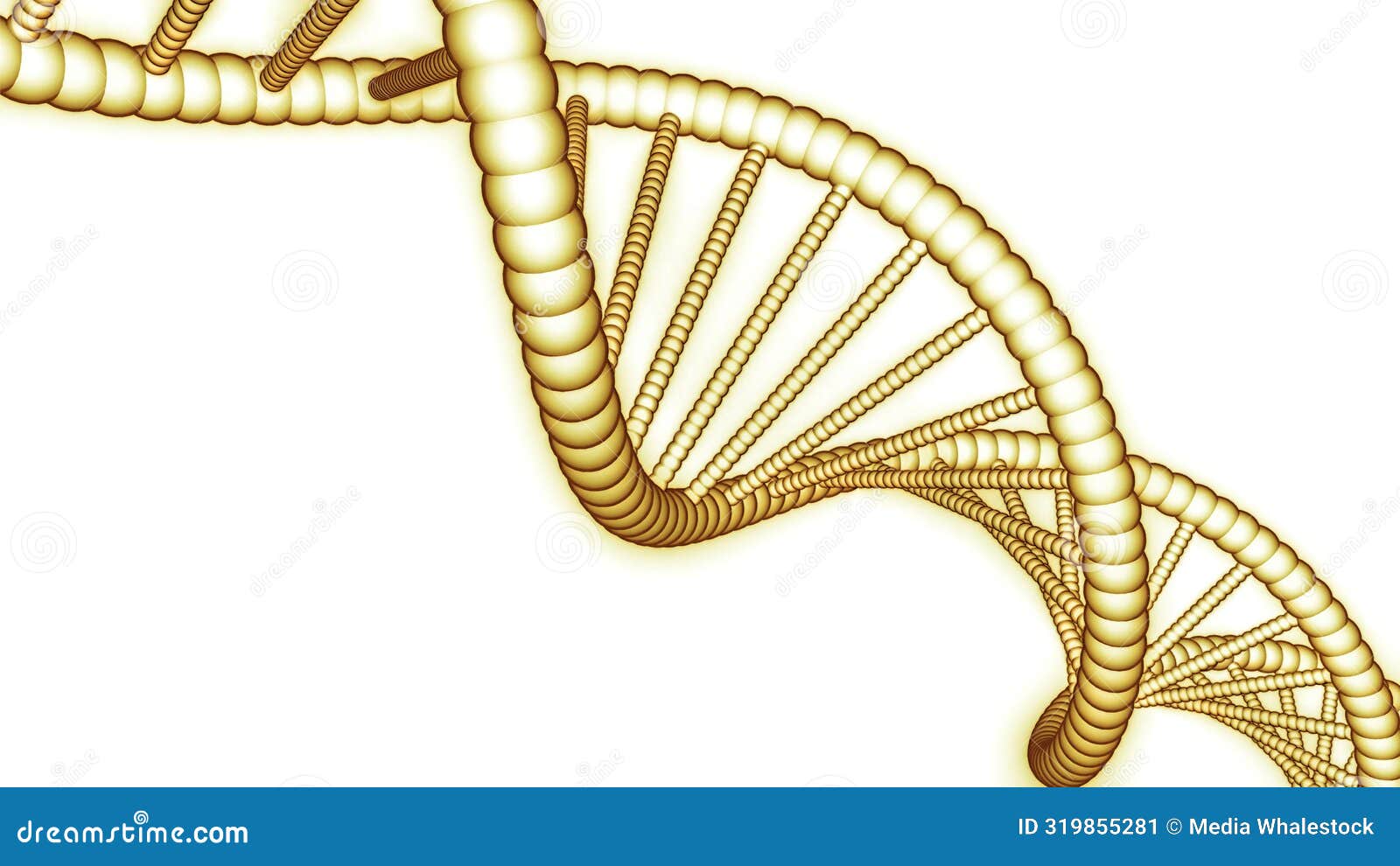 Simple Rotating Dna Chain on White Background. Design. Animation of ...