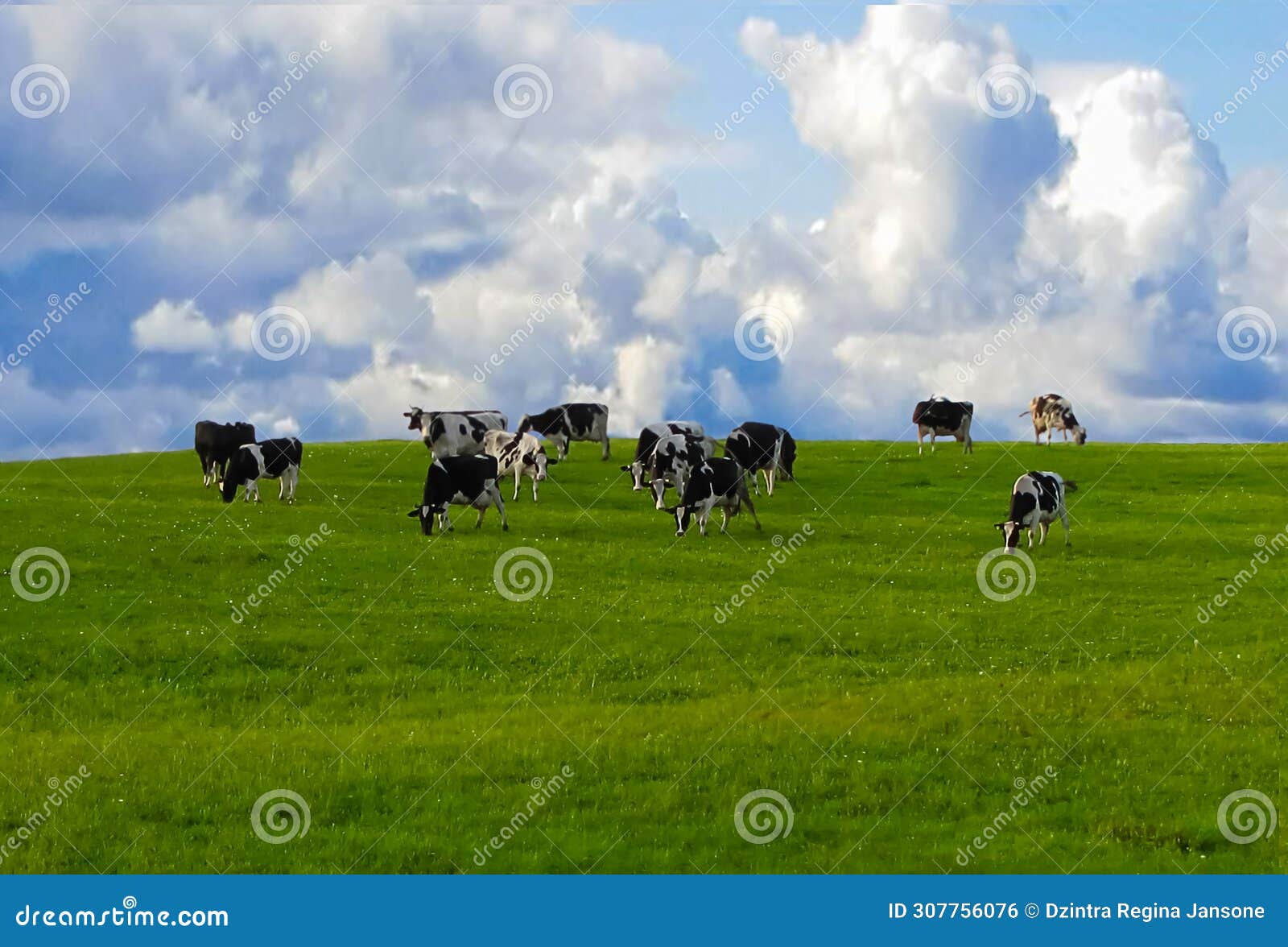 A Simple Rural Landscape with Cows on a Hill. Stock Photo - Image of ...
