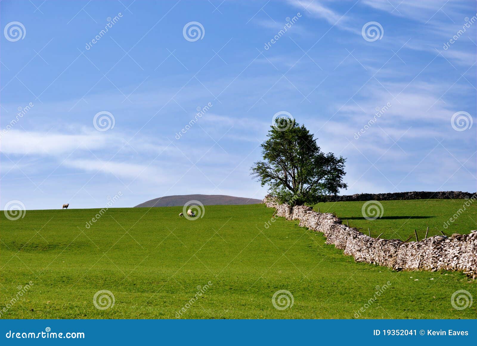 Simple rural scene. stock image. Image of horizon, grazing - 19352041