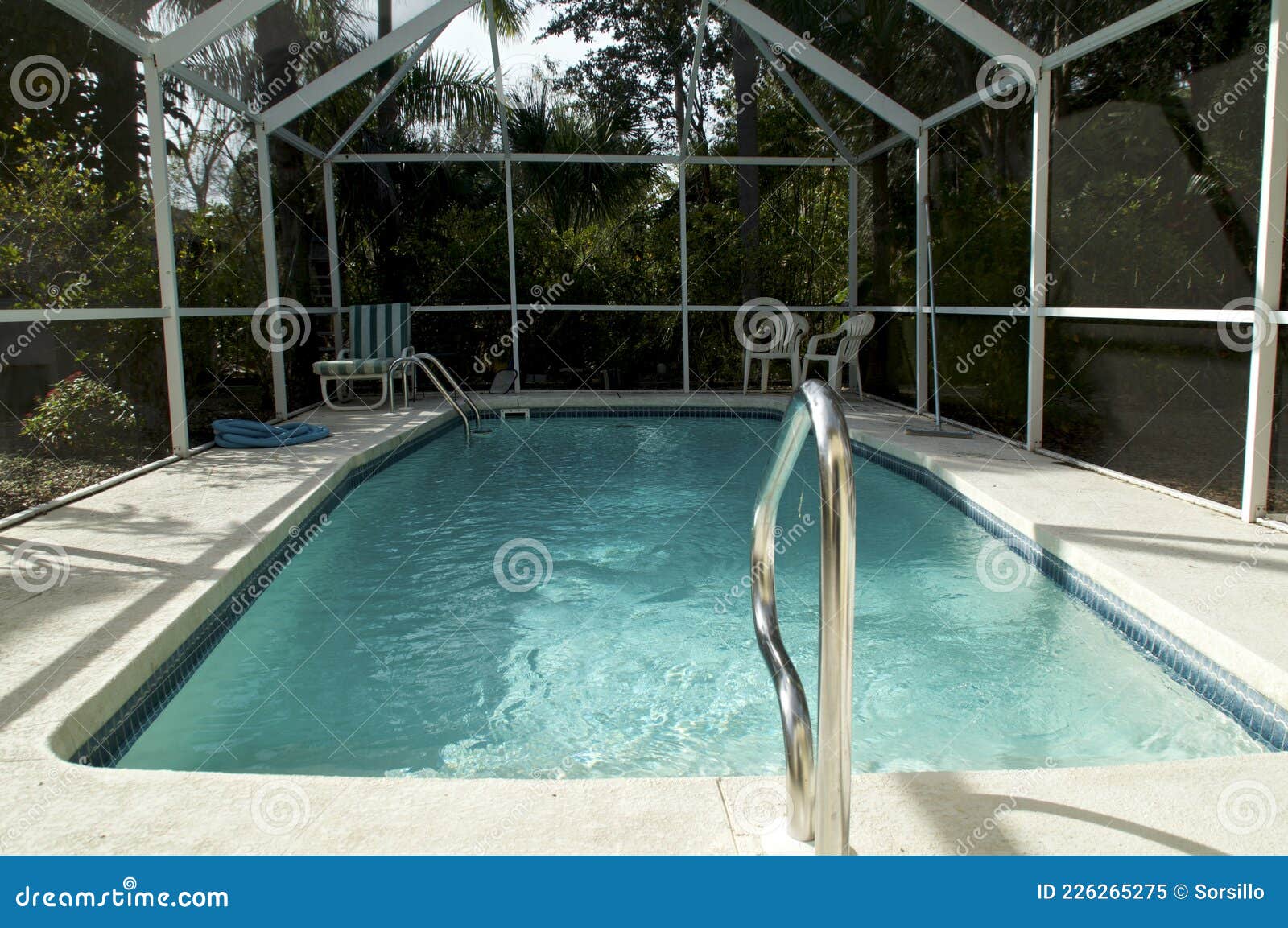 Simple Screened in Swimming Pool in Florida Stock Image - Image of pool ...