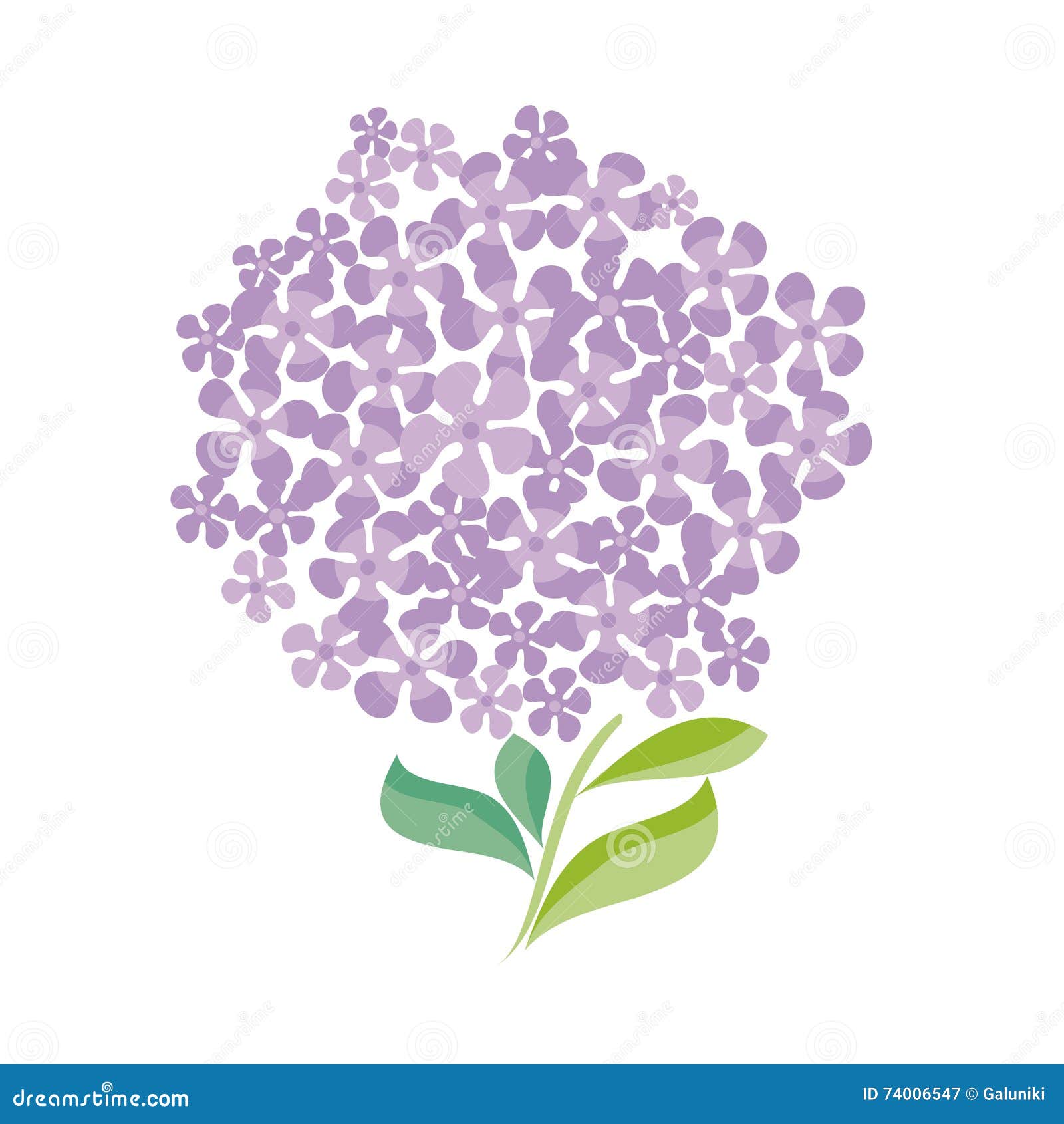 Simple Shape Decorative Hydrangea Bunch. Stock Vector - Illustration of ...