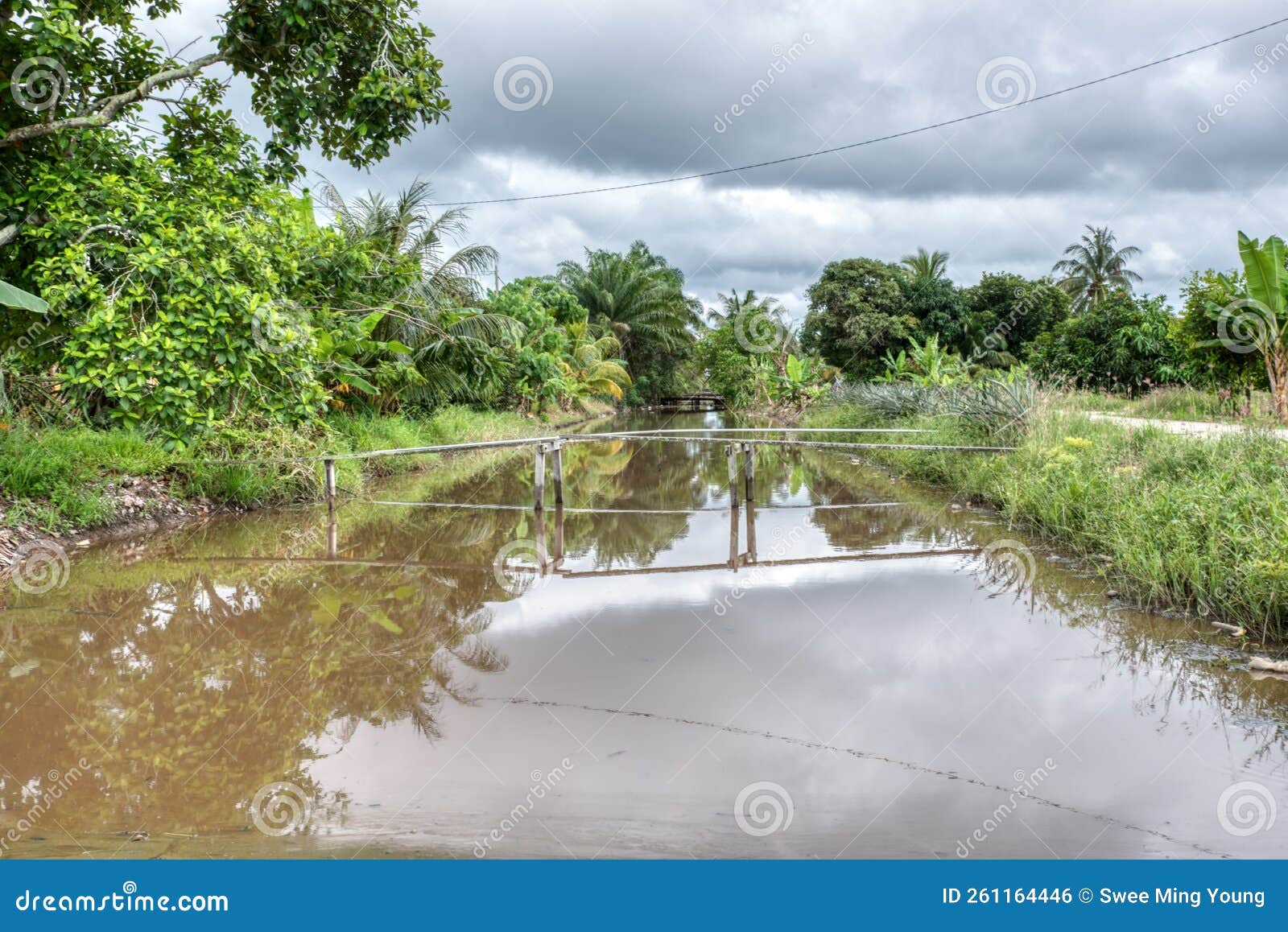 Simple Single Plank Wood Bridge Crossing the River Stock Photo - Image ...