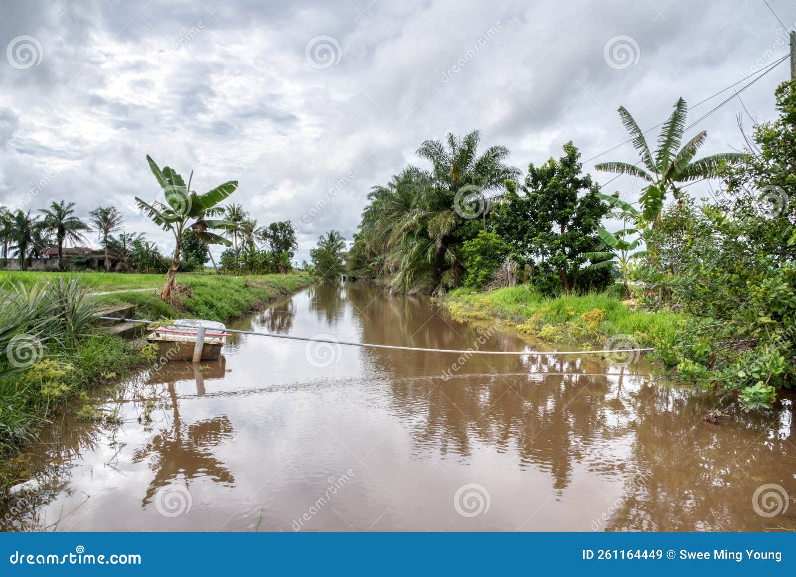 Single Plank Bridge Royalty-Free Stock Image | CartoonDealer.com #49993648