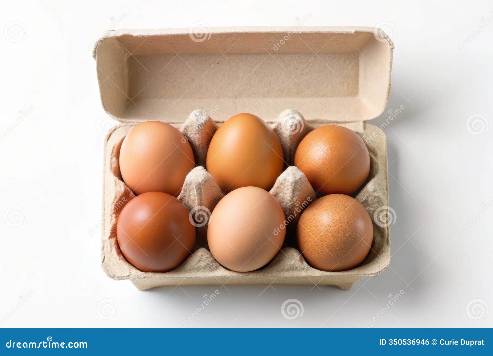 Simple SixEgg Box Mockup Clean Design for Carton Pack or Egg Container ...