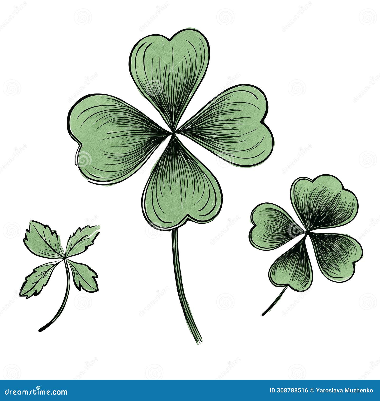 Set of Three Sketched Clover Leaves Stock Photo - Illustration of hand ...