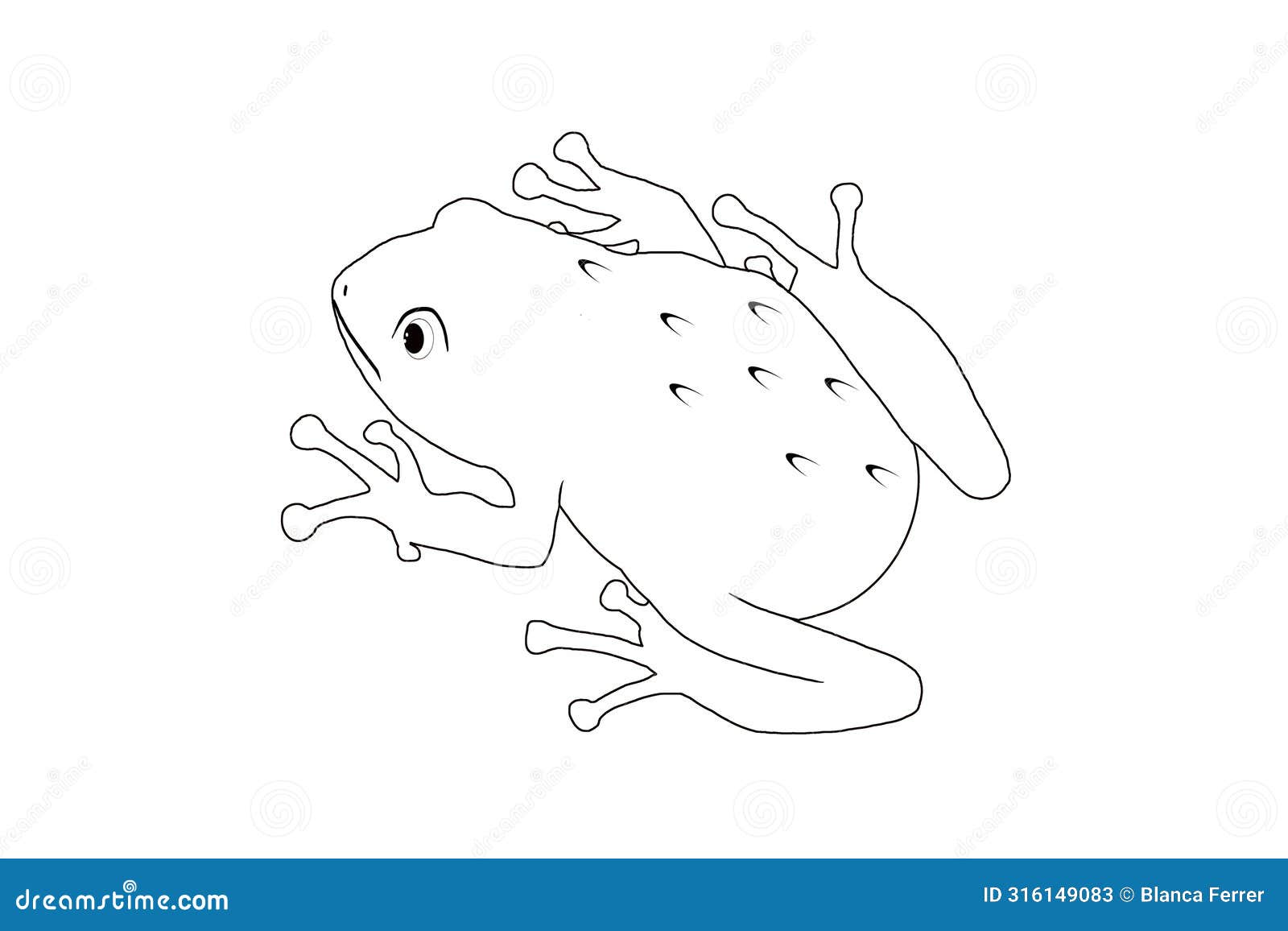 Simple sketch of a frog stock illustration. Illustration of frog ...