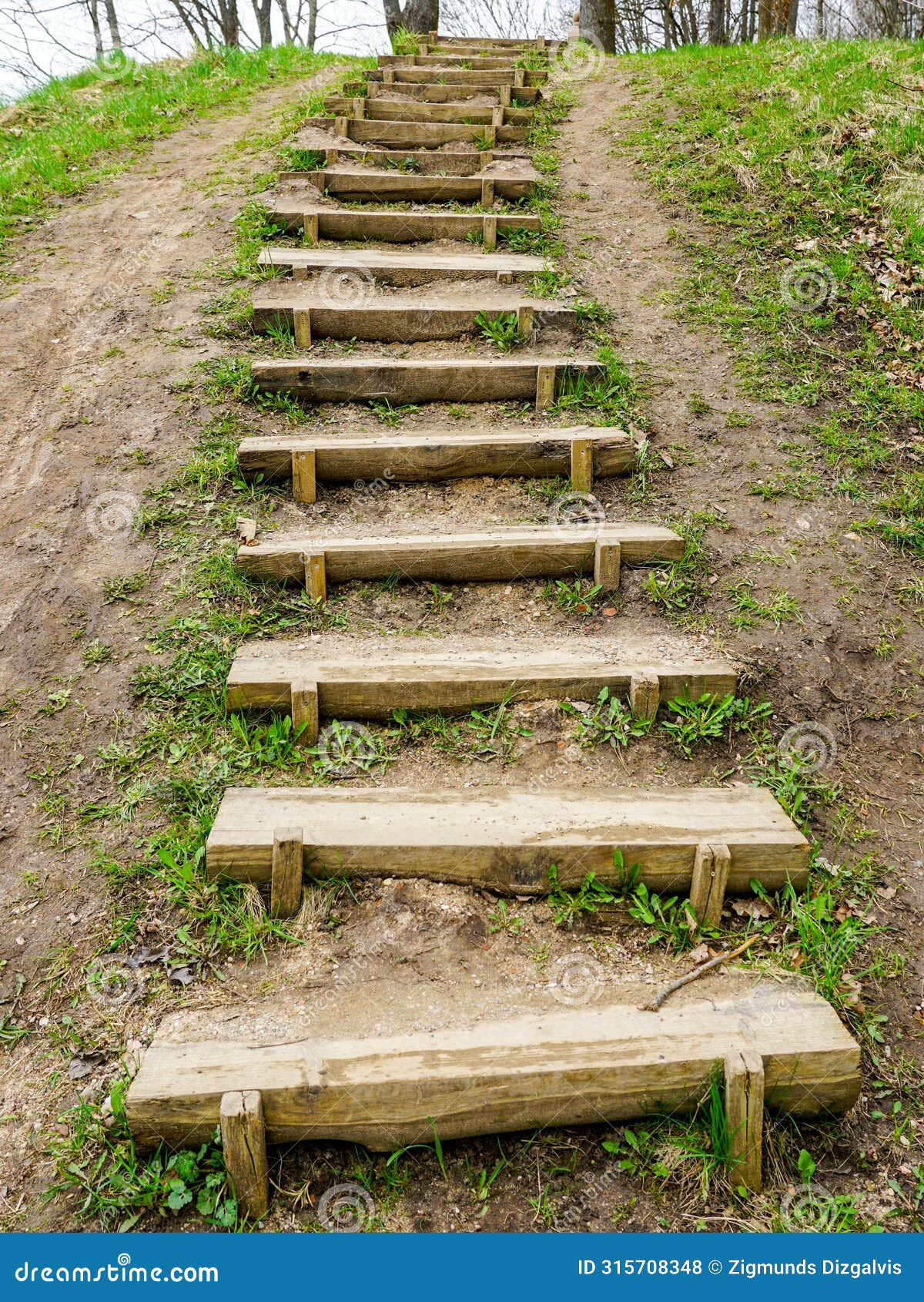 Simple Solid Wood Step Stairs without Handrails in Nature Park, Bottom ...