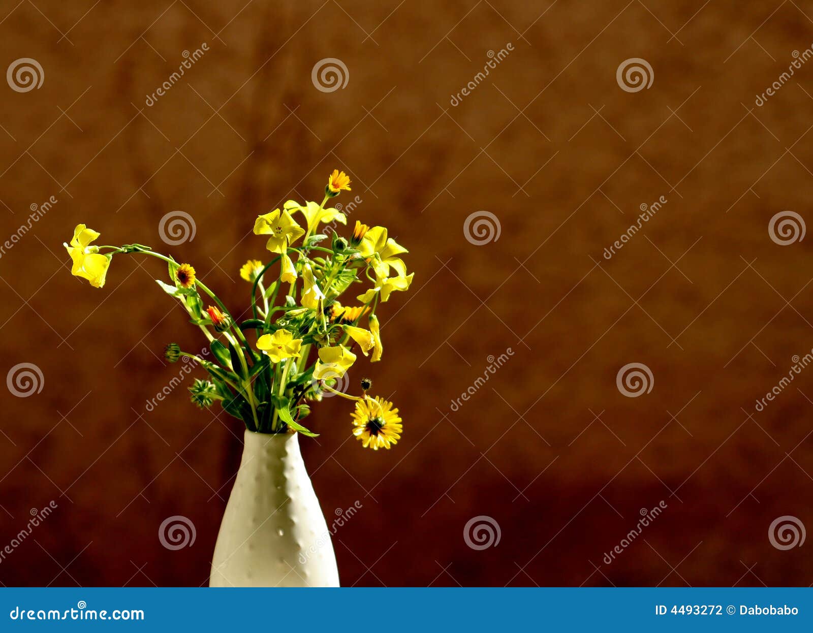 Simple spring flowers stock photo. Image of plant, flower - 4493272