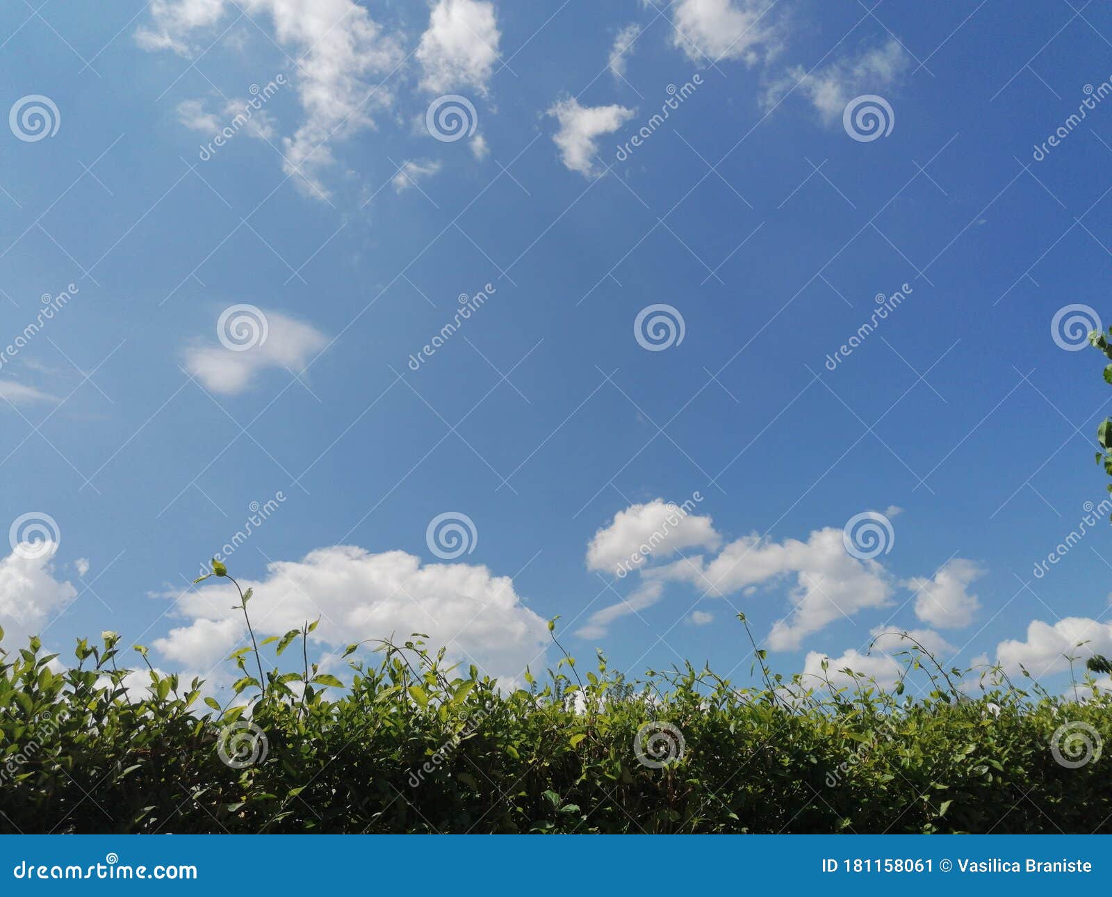 Simple Spring Landscape with Grass and Sky Stock Image - Image of ...