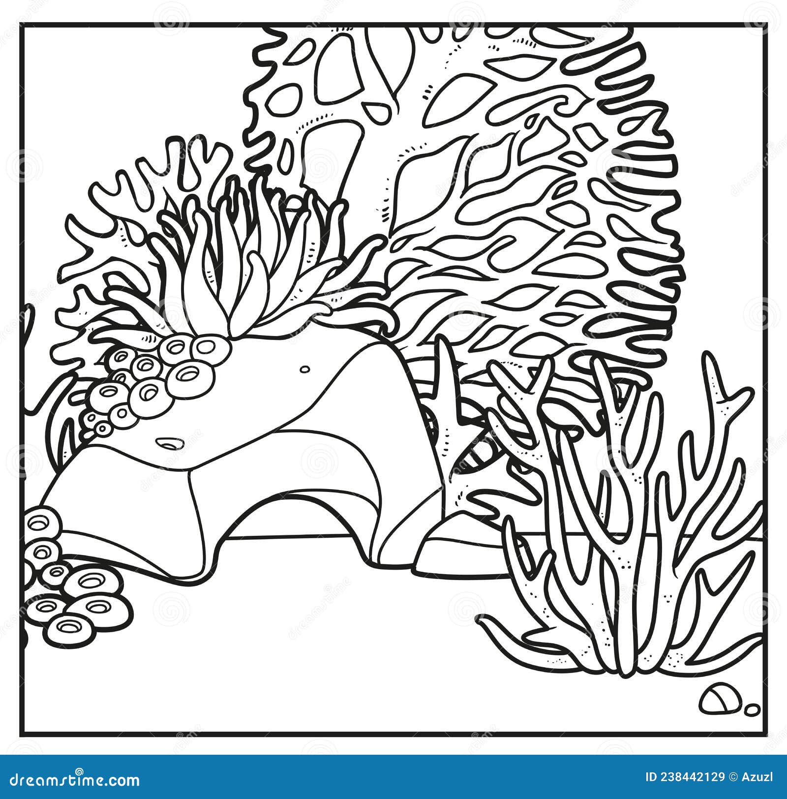 Simple Square Background of the Seabed with Stones, Corals and Algae ...