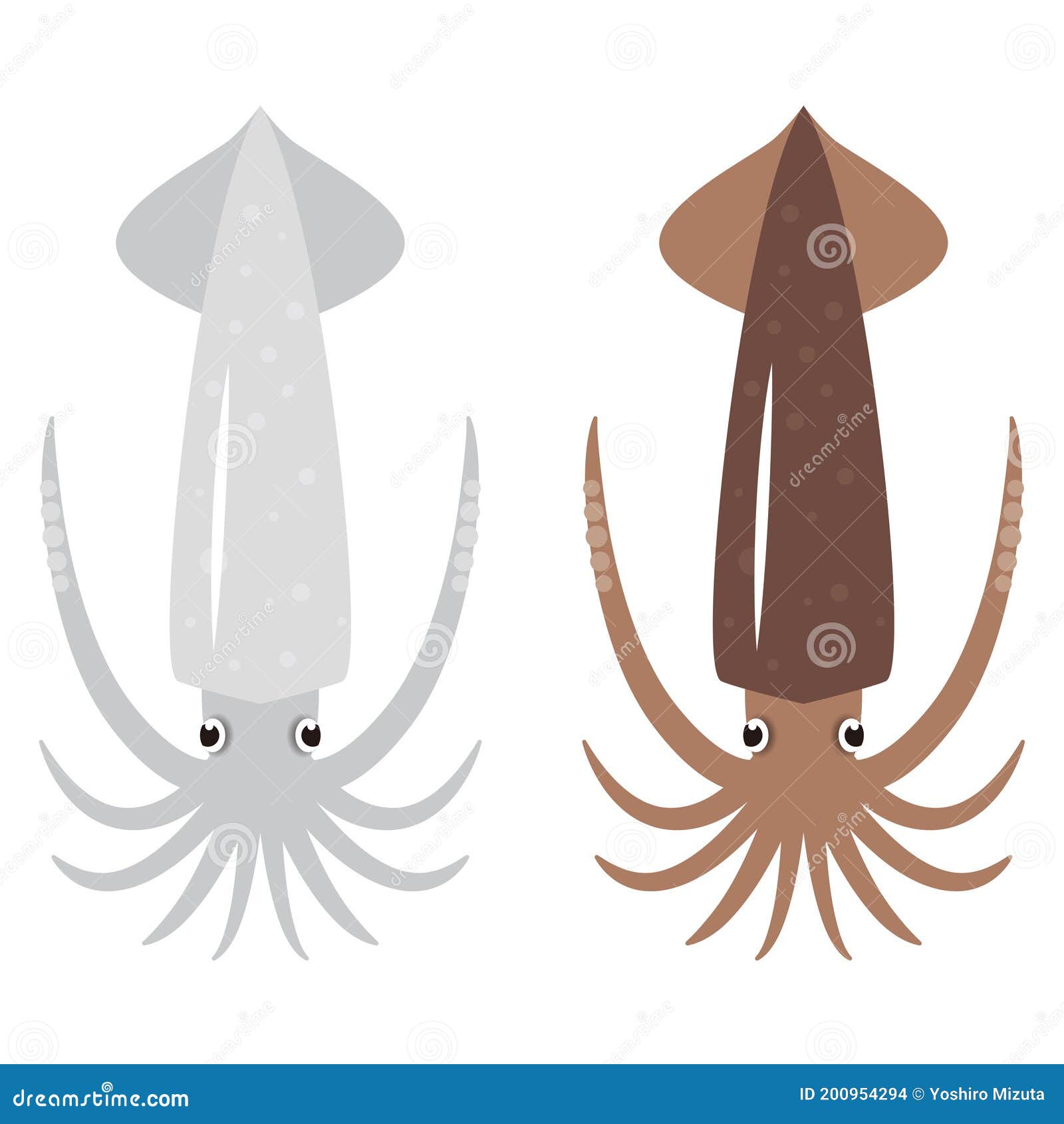 Simple Squid Illustration on White Background Stock Vector ...