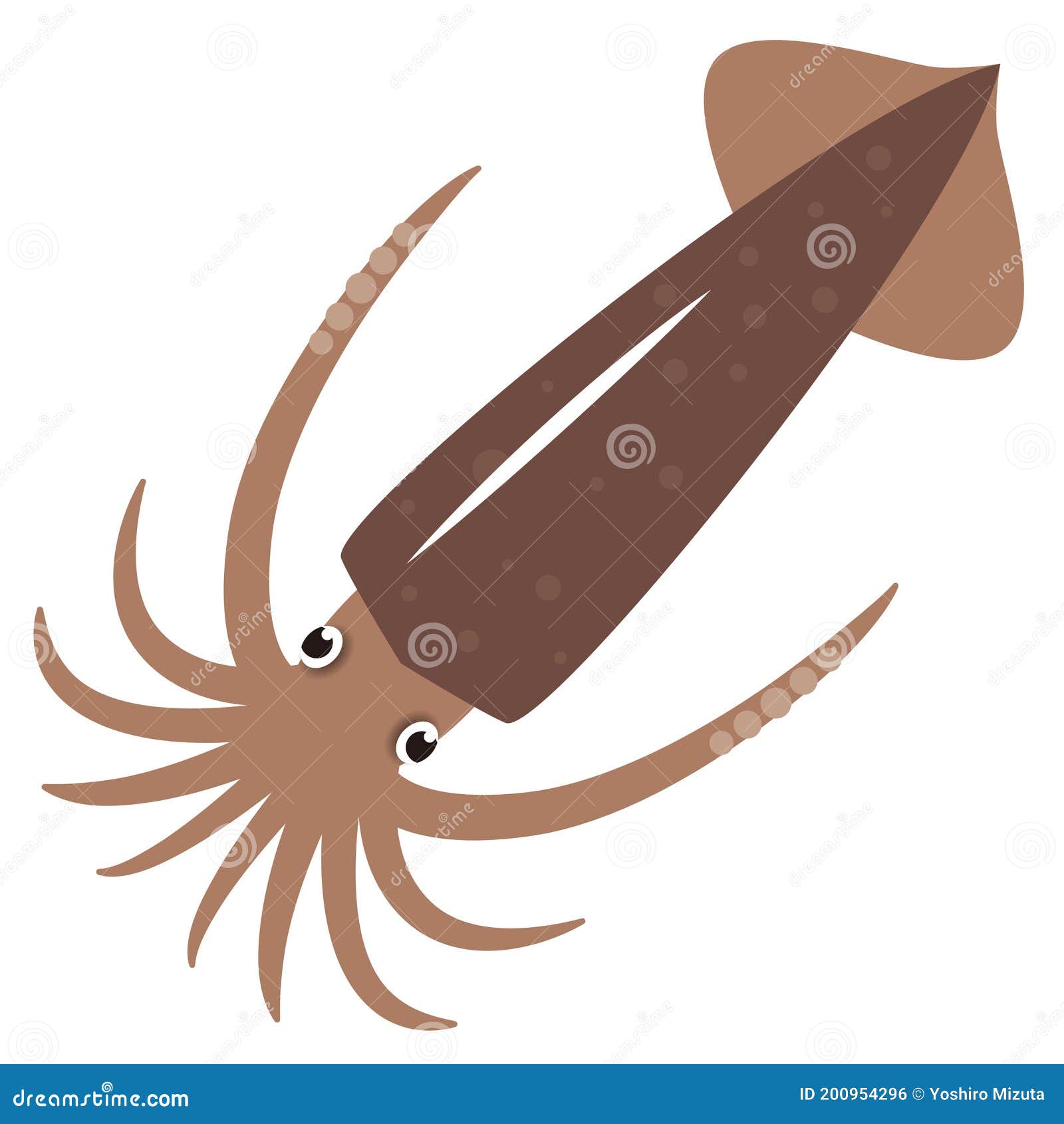 Simple Squid Illustration on White Background Stock Vector ...