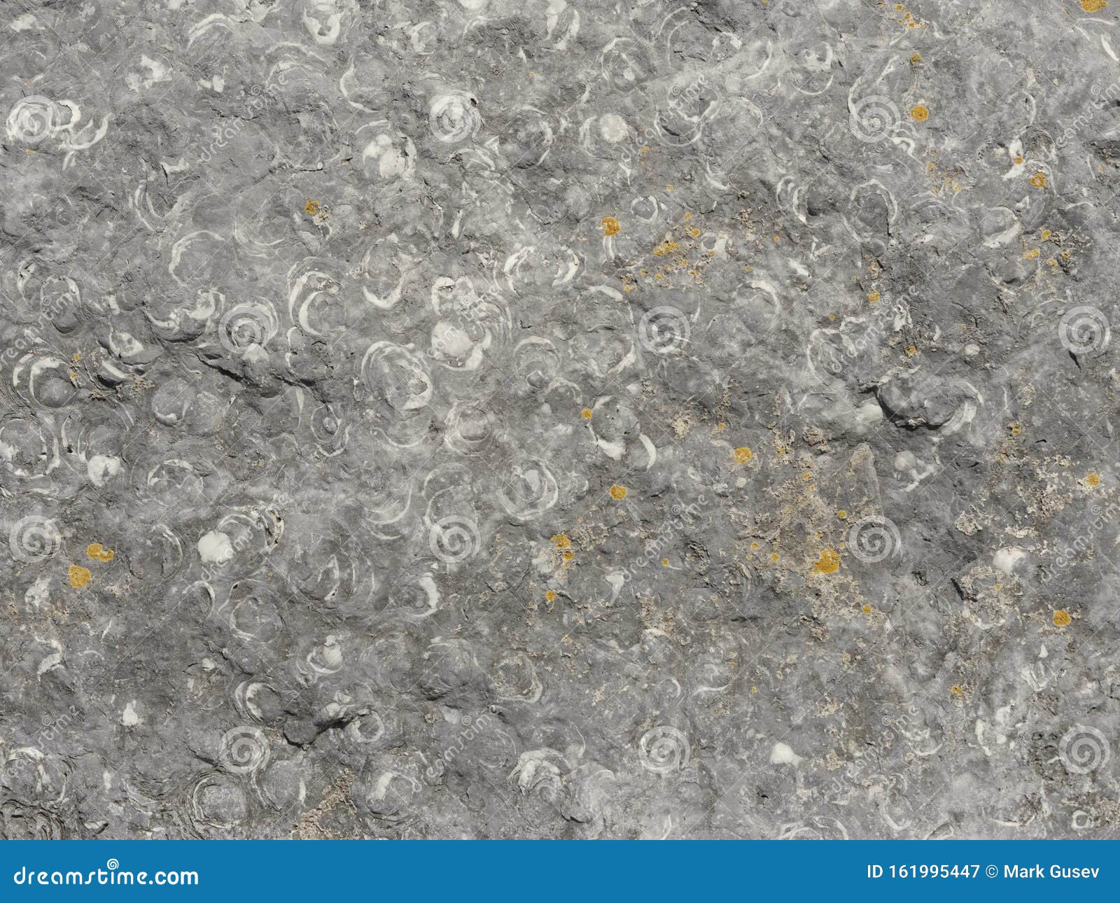 Simple Stone Texture Close Up, Abstract Background Stock Image - Image ...