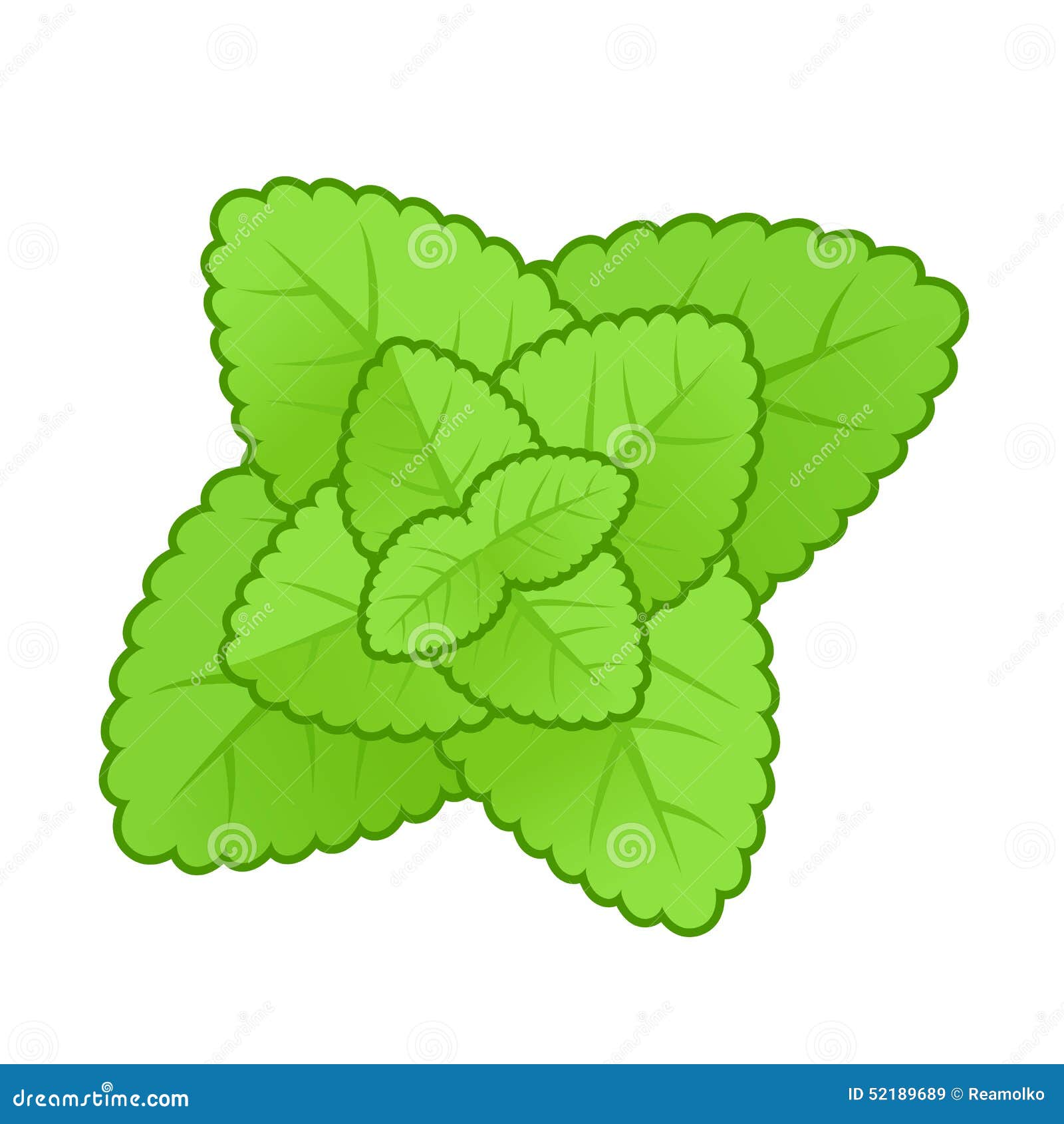 Simple Style Mint Leaves Illustration Stock Vector - Illustration of ...