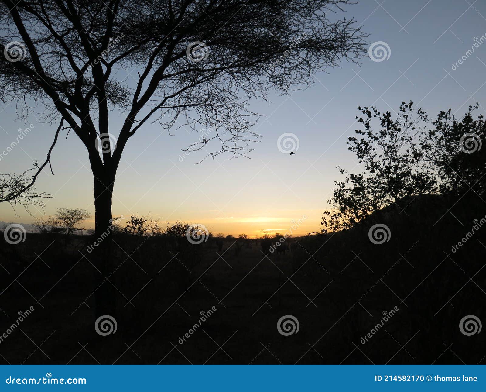 Simple Sunset in the Desert Stock Photo - Image of dessert, evening ...