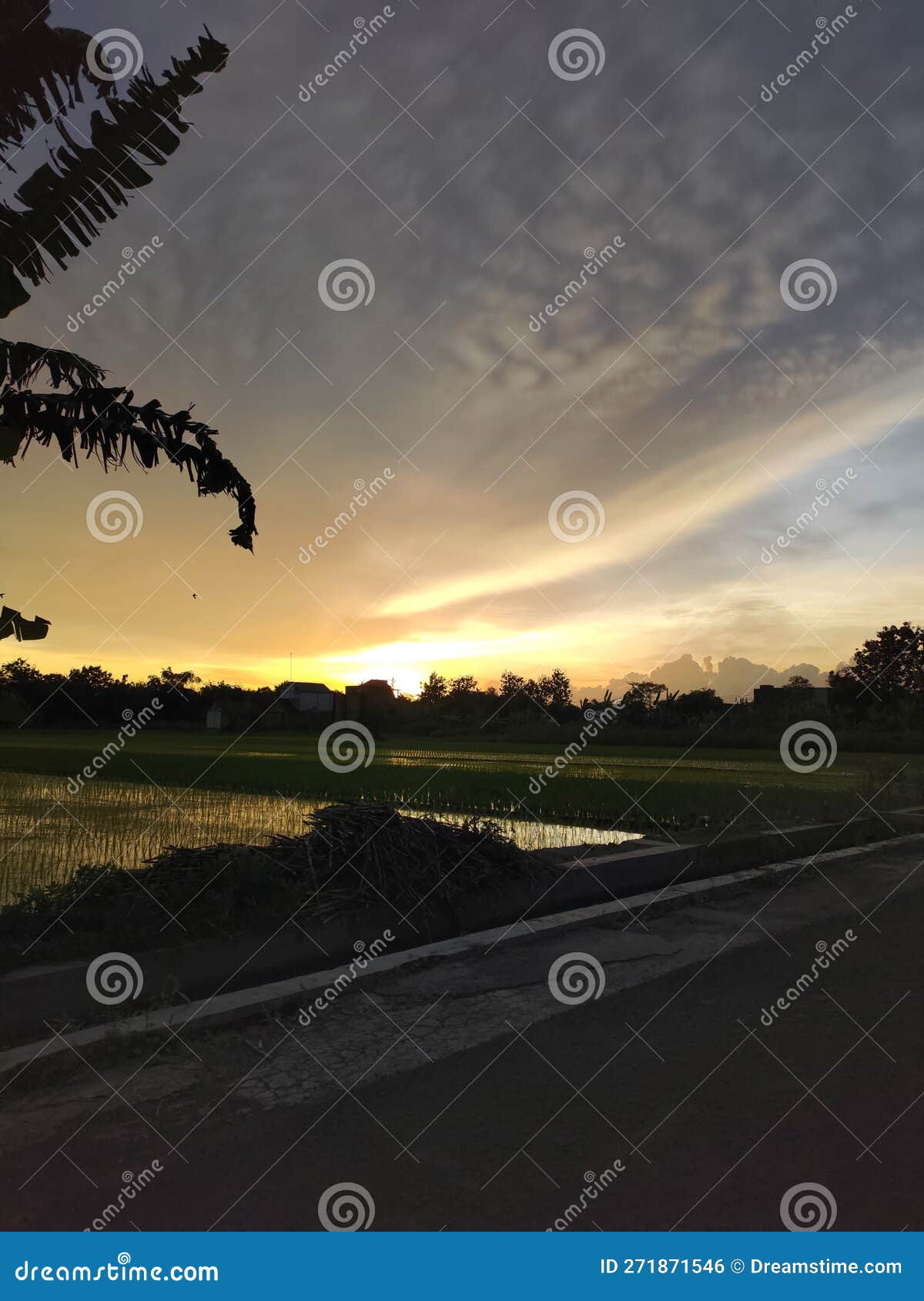 Simple sunset sky stock photo. Image of lighting, yellow - 271871546