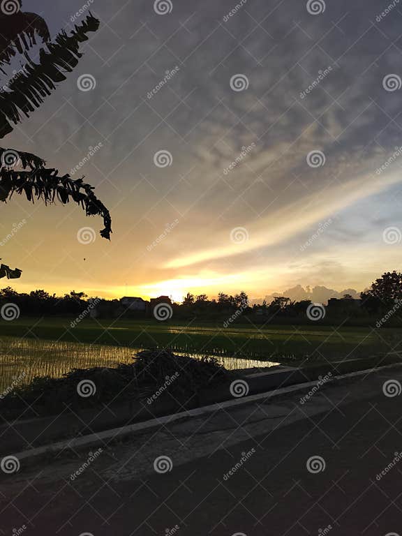 Simple sunset sky stock photo. Image of lighting, yellow - 271871546