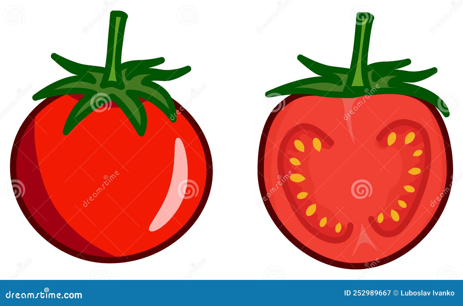 Simple Tomato Drawing Vector Illustration With Cute Design ...