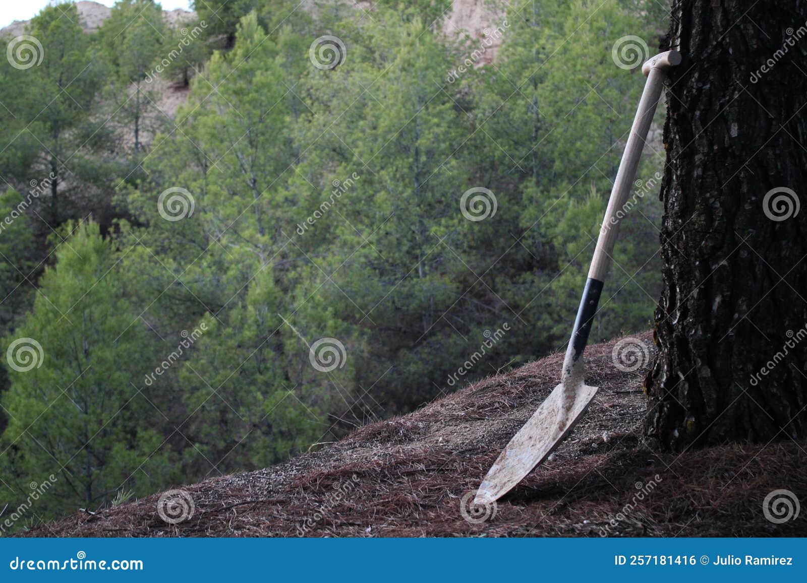 Simple Used Shovel with Trees in the Background. Stock Photo - Image of ...