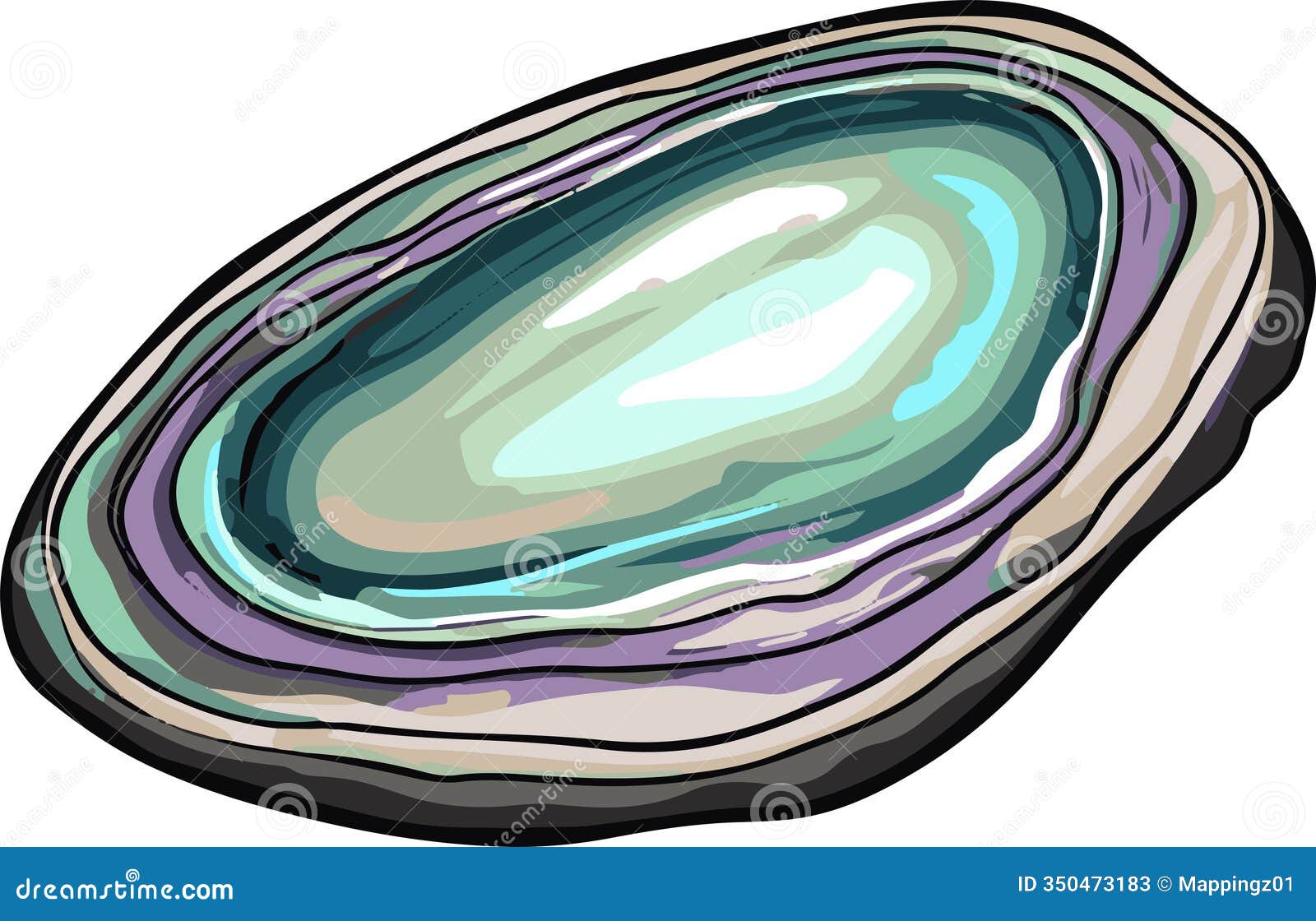 Simple Vector Abalone Clipart Stock Vector - Illustration of ...