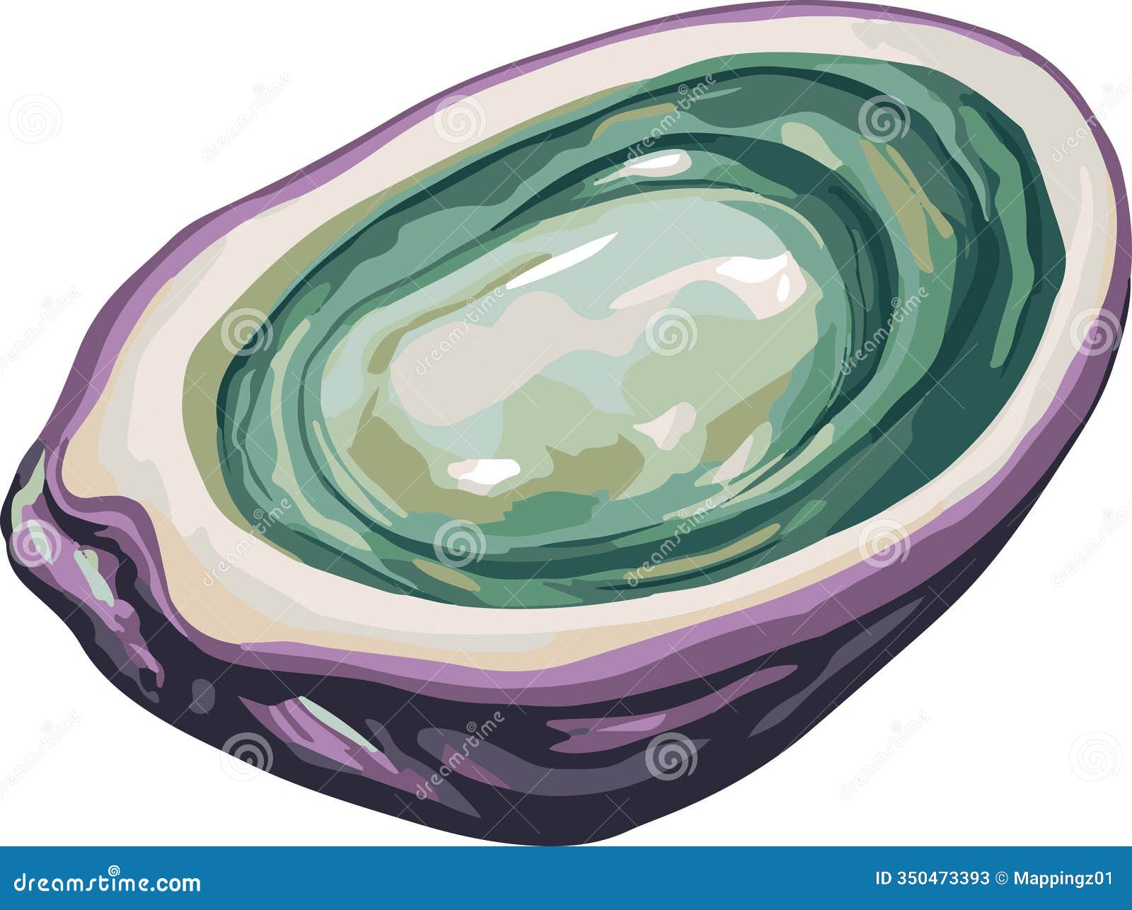 Simple Vector Abalone Clipart Stock Vector - Illustration of simple ...
