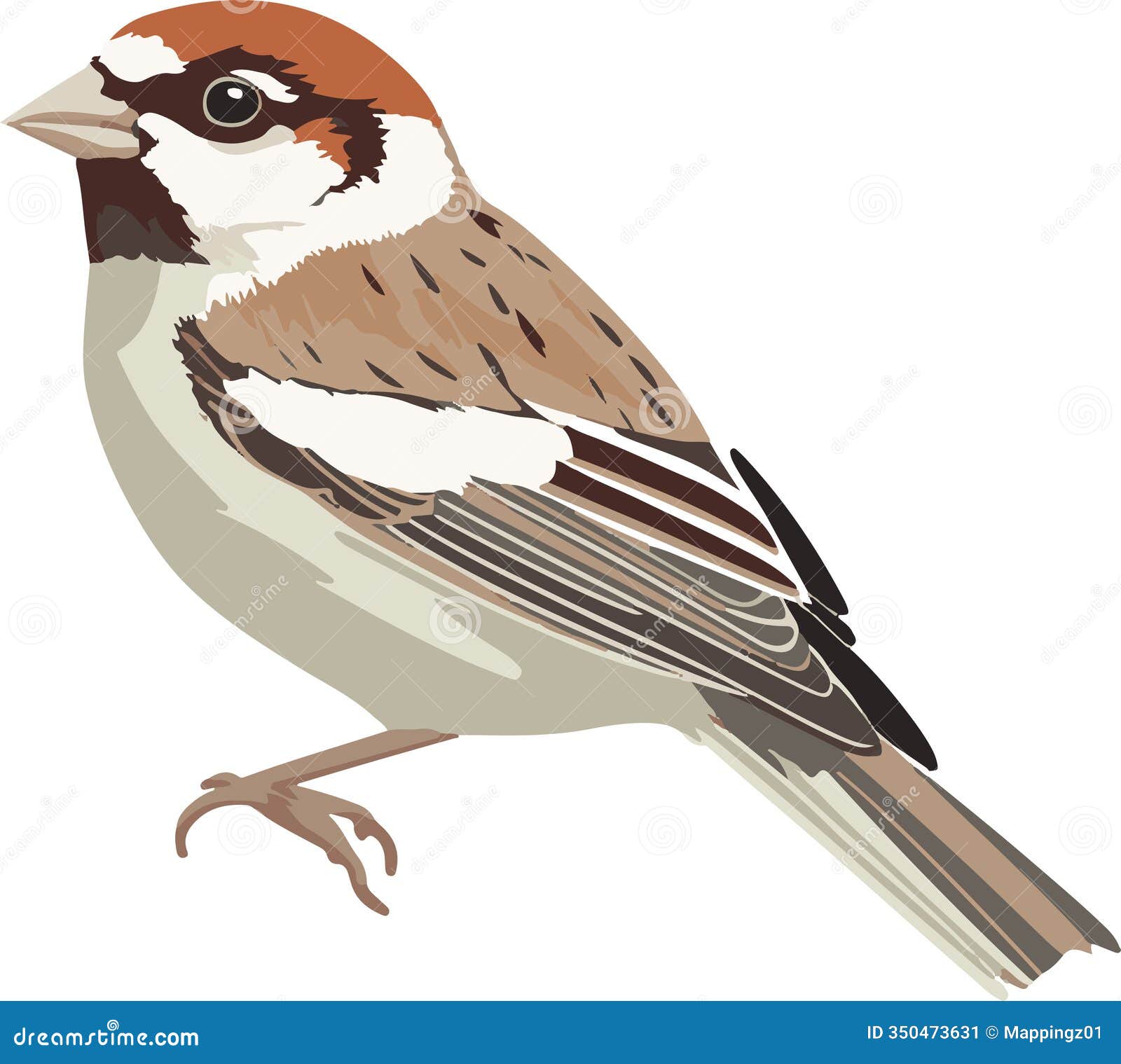 Simple Vector American Tree Sparrow Clipart Stock Vector - Illustration ...