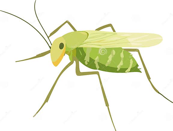 Simple Vector Aphid Clipart Stock Vector - Illustration of bold ...