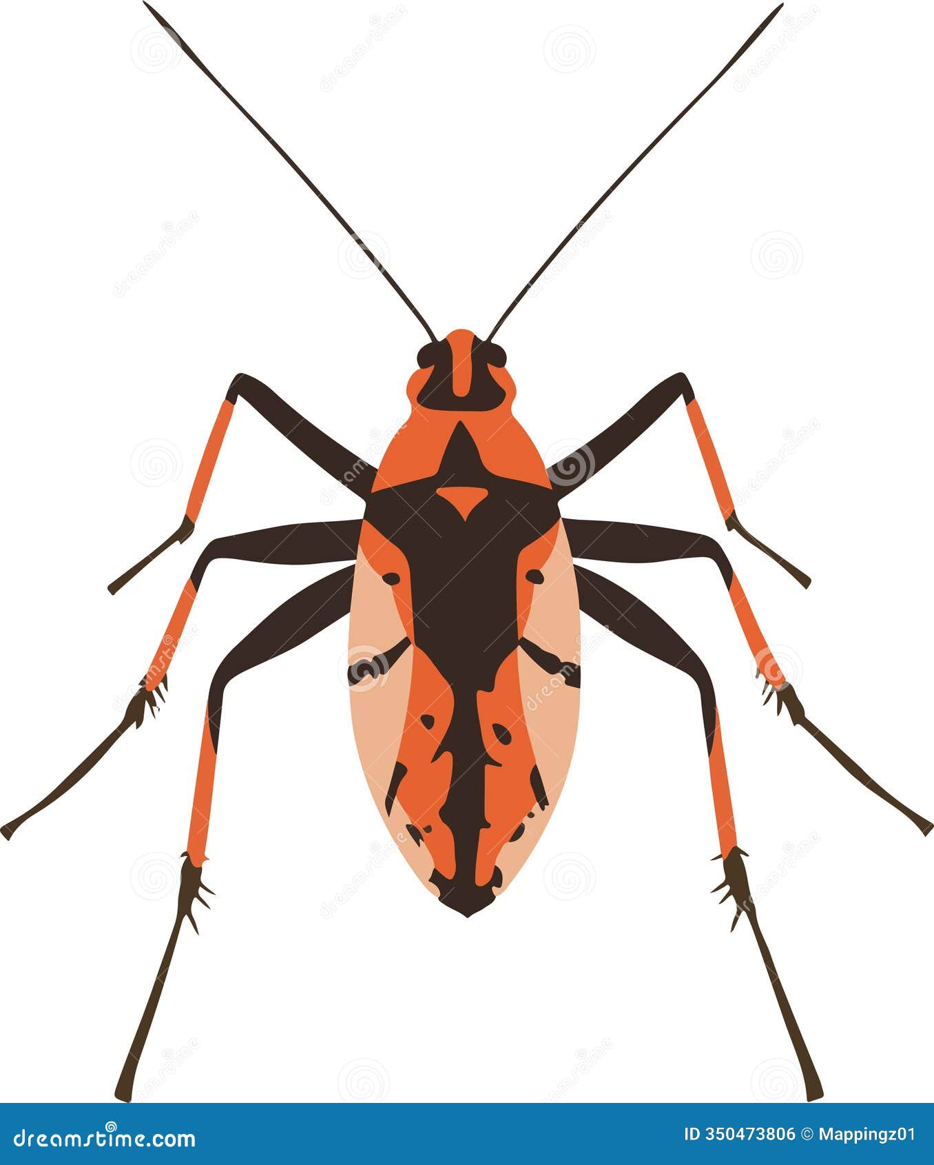 Simple Vector Assassin Bug Clipart Stock Vector - Illustration of ...
