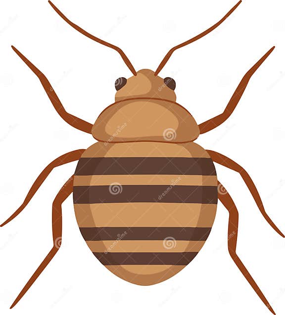 Simple Vector Bed Bug Clipart Stock Vector - Illustration of abstract ...
