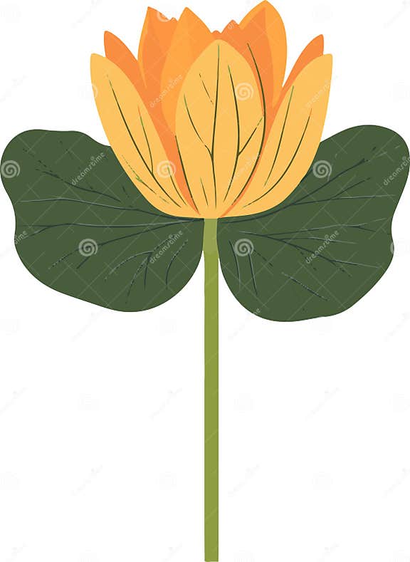 Simple Vector Bitterroot Clipart Stock Vector - Illustration of designs ...