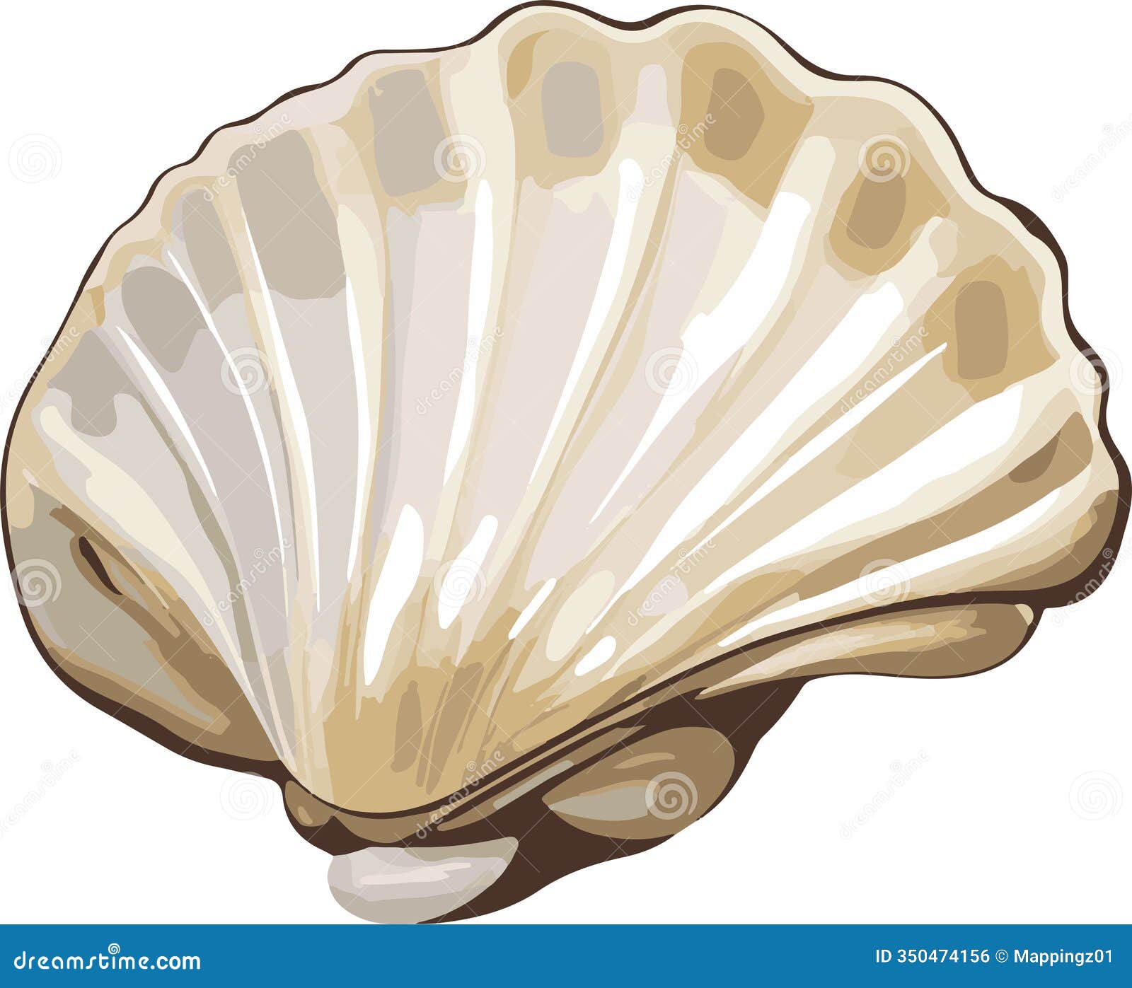 Simple Vector Bivalve Clipart Stock Vector - Illustration of color ...