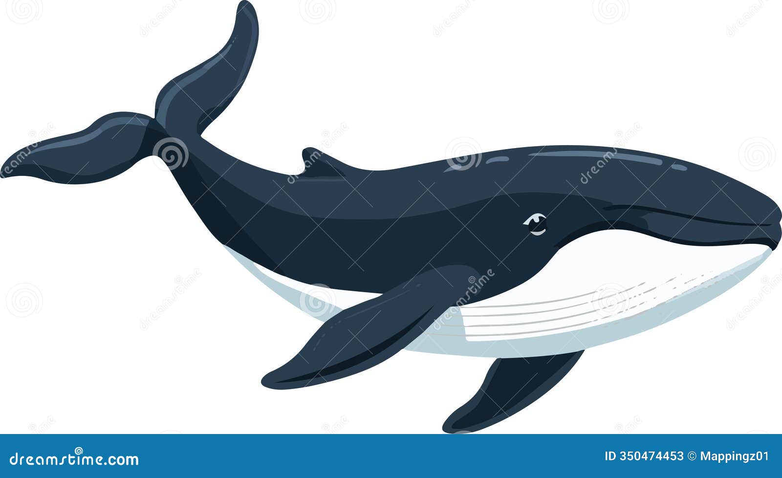 Simple Vector Bowhead Whale Clipart Stock Vector - Illustration of kids ...