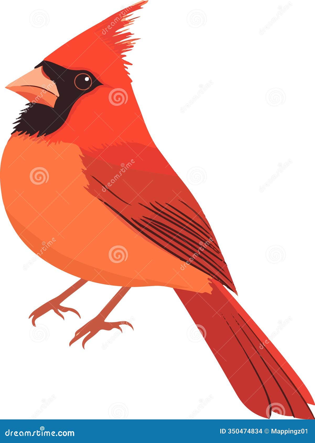 Simple Vector Cardinal Clipart Stock Vector - Illustration of kids ...