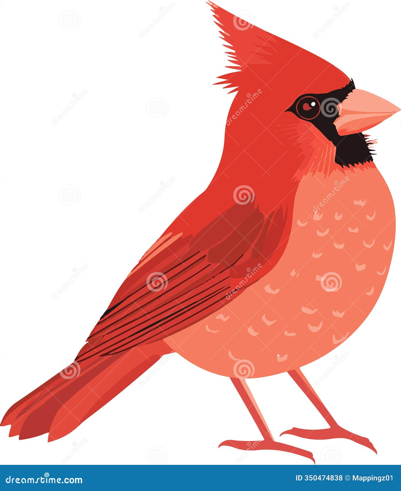 Simple Vector Cardinal Clipart Stock Vector - Illustration of graphics ...