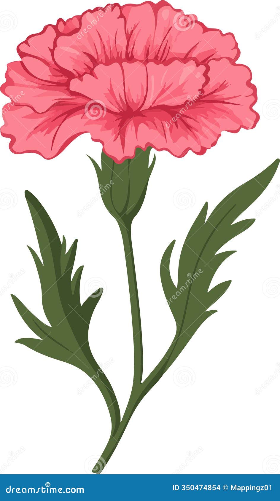 Carnation Clipart Black And White, Simple Carnation Line Drawing, Line ...
