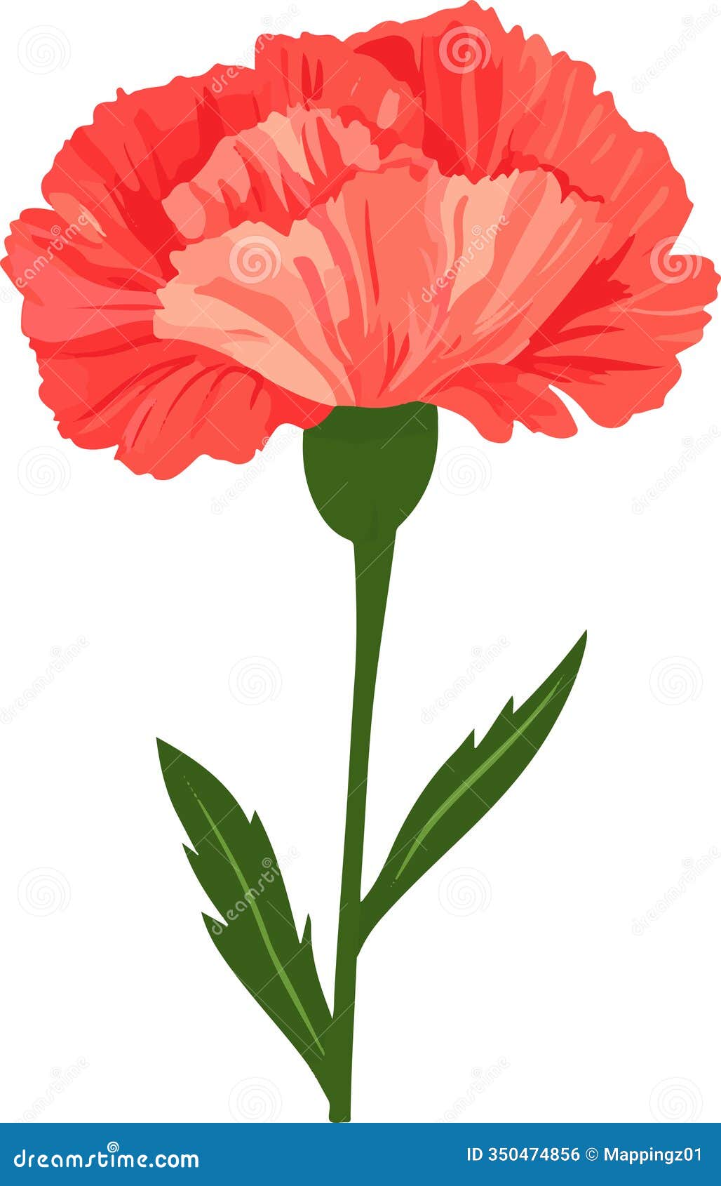 Carnation Clipart Black And White, Simple Carnation Line Drawing, Line ...