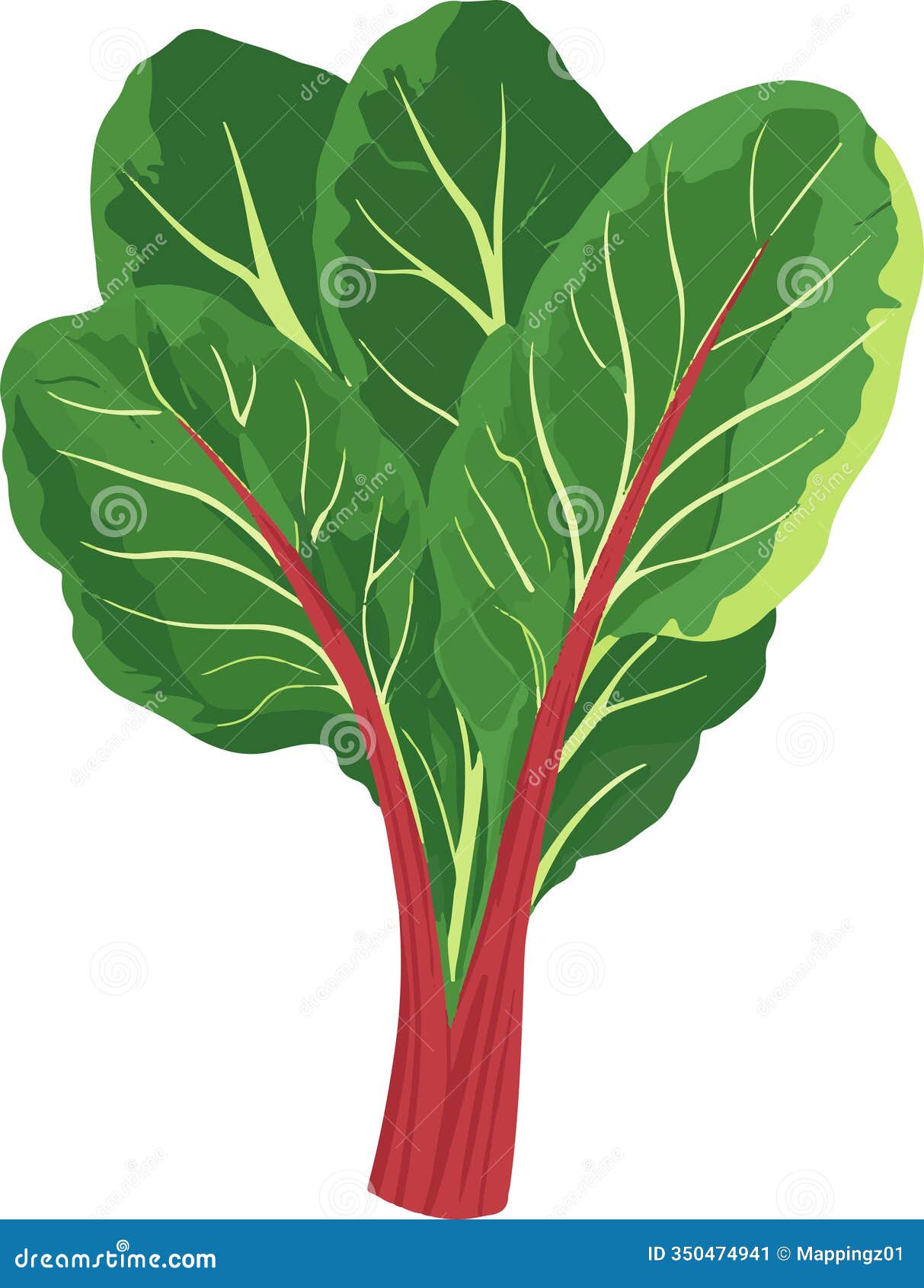 Simple Vector Chard Clipart Stock Vector - Illustration of graphics ...