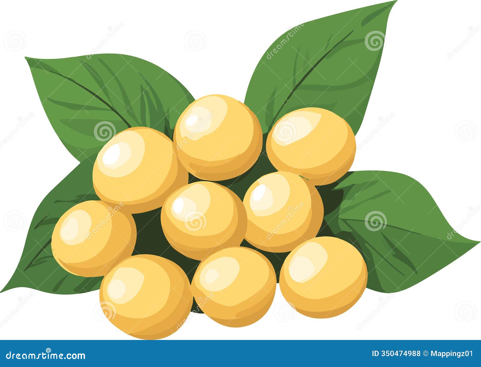 Simple Vector Chick Peas Clipart Stock Vector - Illustration of vector ...