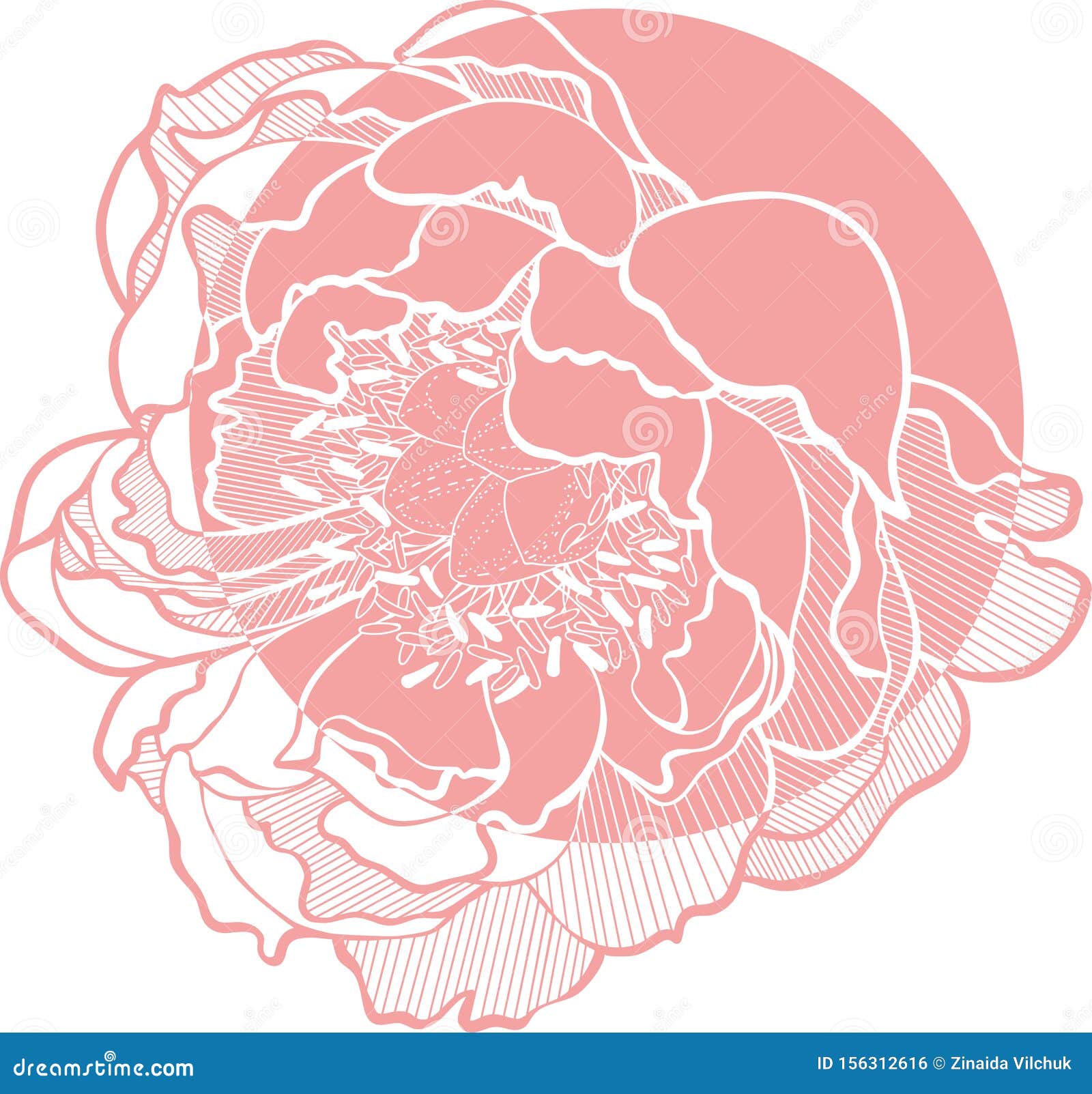Simple Vector Clip Art Peony Flower Image Stock Vector - Illustration ...