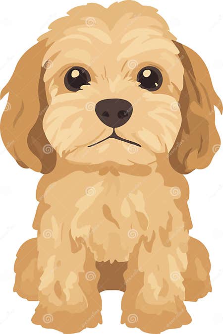 Simple Vector Cockapoo Clipart Stock Vector - Illustration of icons ...