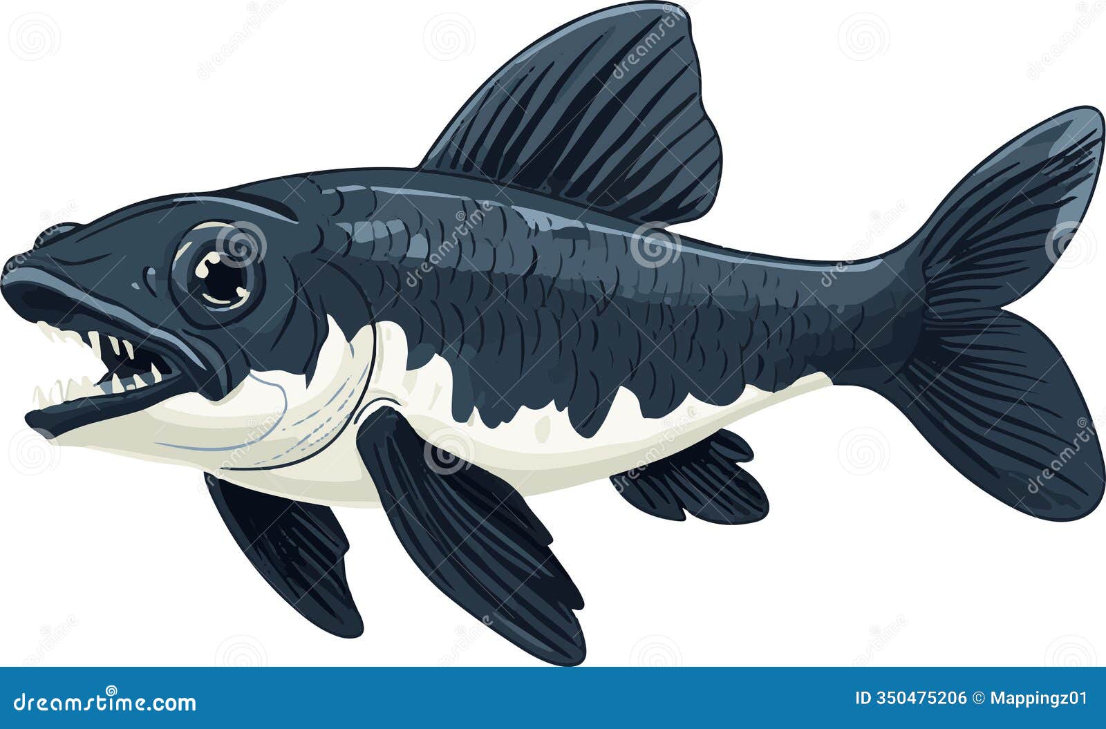 Simple Vector Coelacanth Clipart Ilustración del Vector - Ilustración ...
